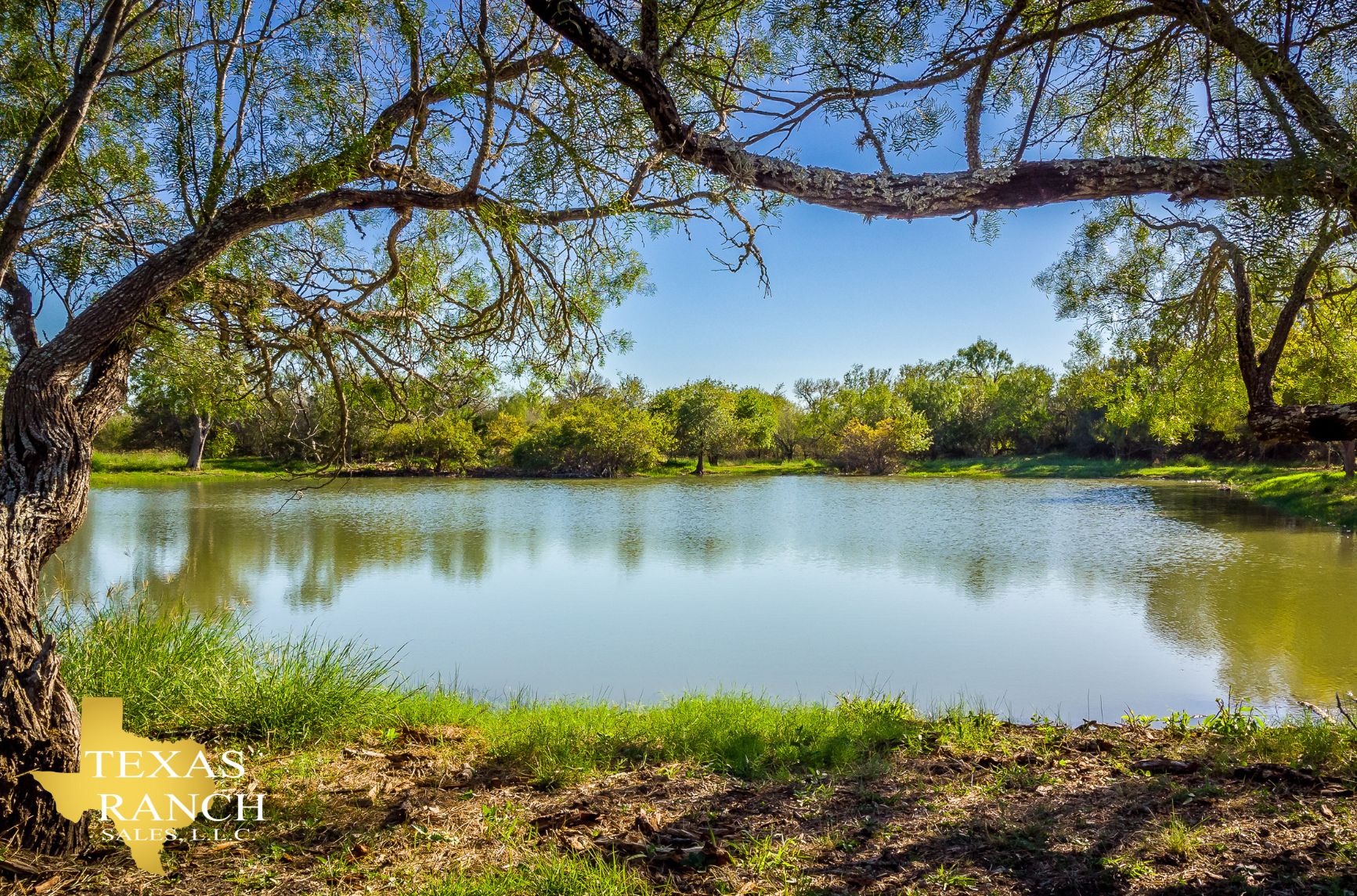 812 acres in D'Hanis, TX, 78850 | LandWatch