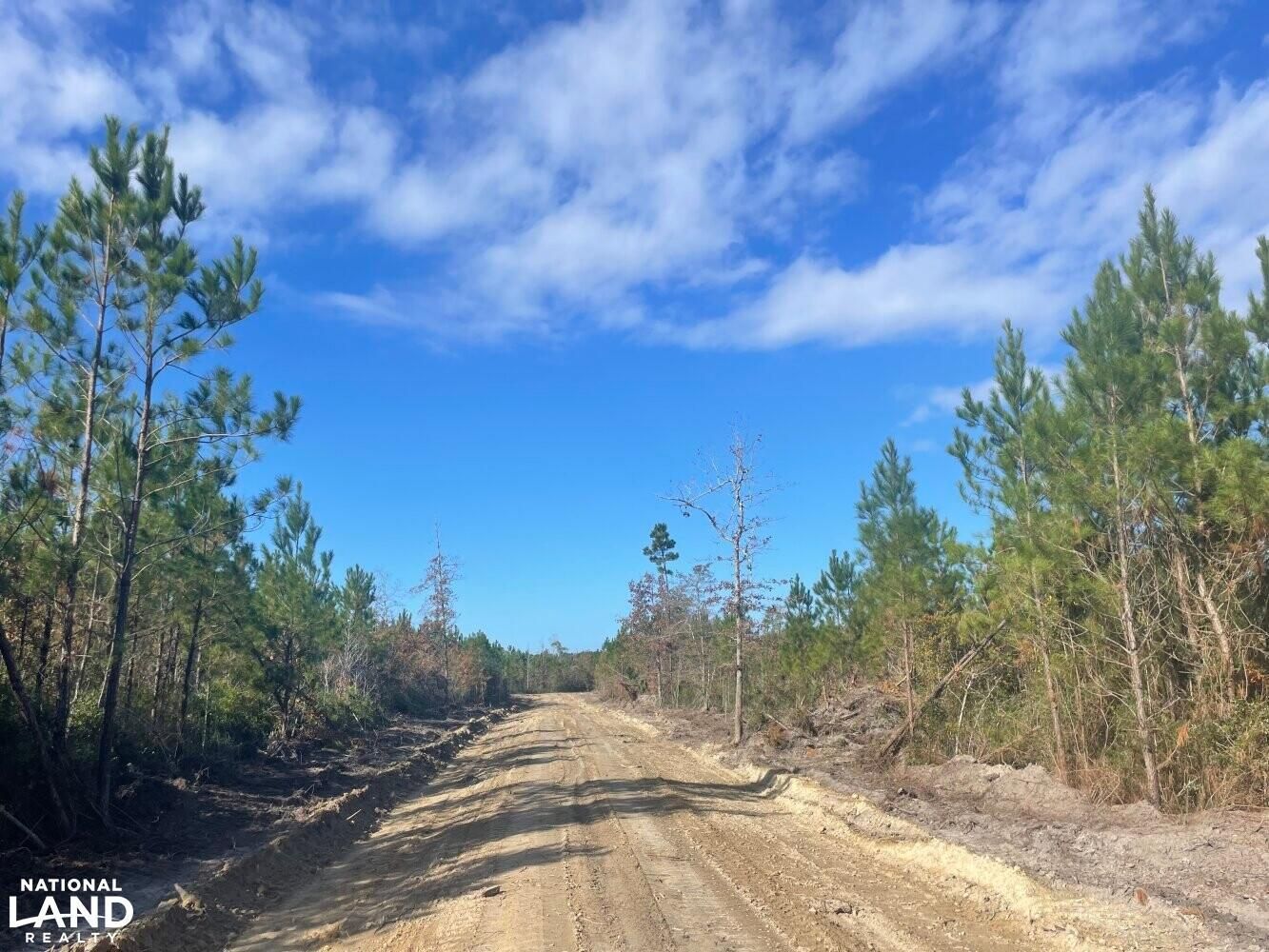 Jamestown, Berkeley County, SC Recreational Property, Hunting Property ...