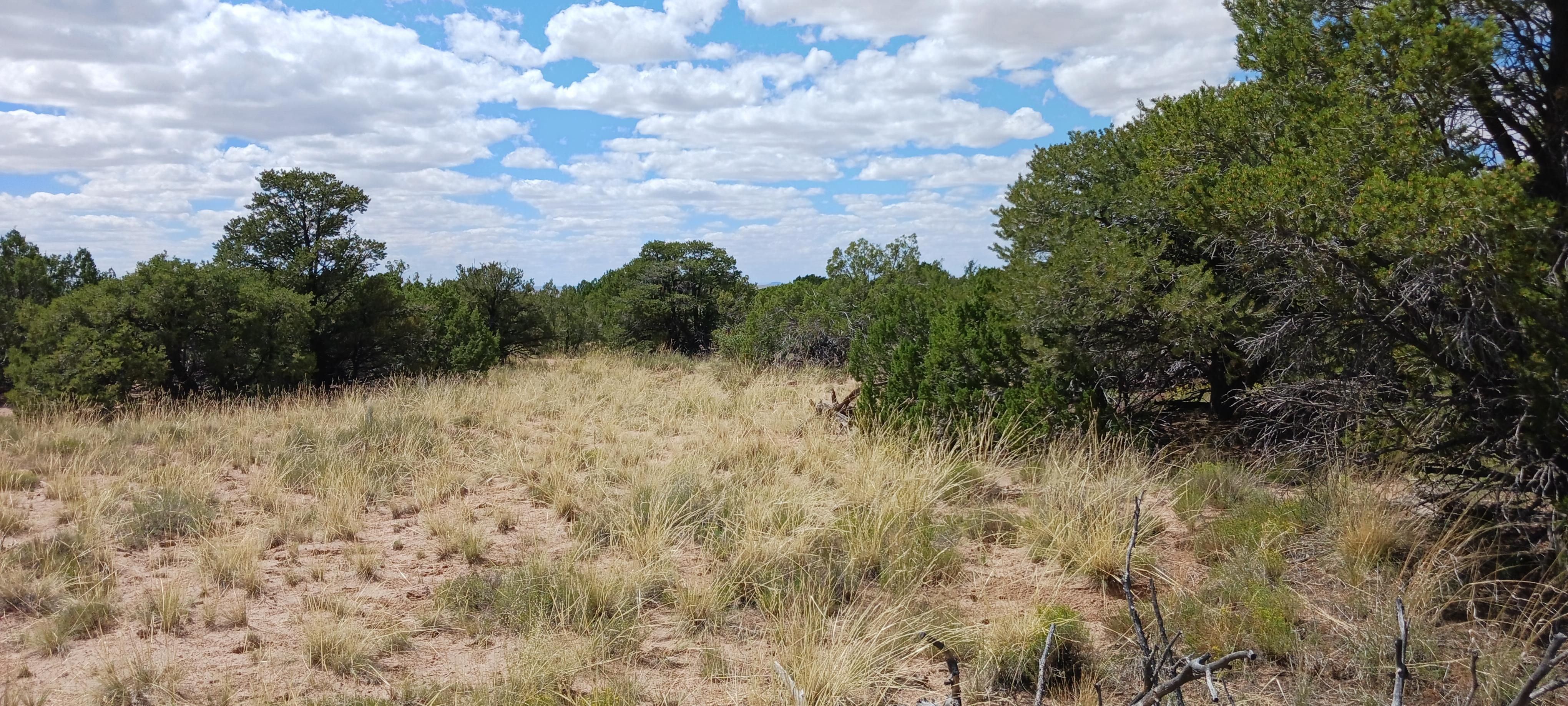 2.5 acres in Sanders, AZ, 86512 | LandWatch