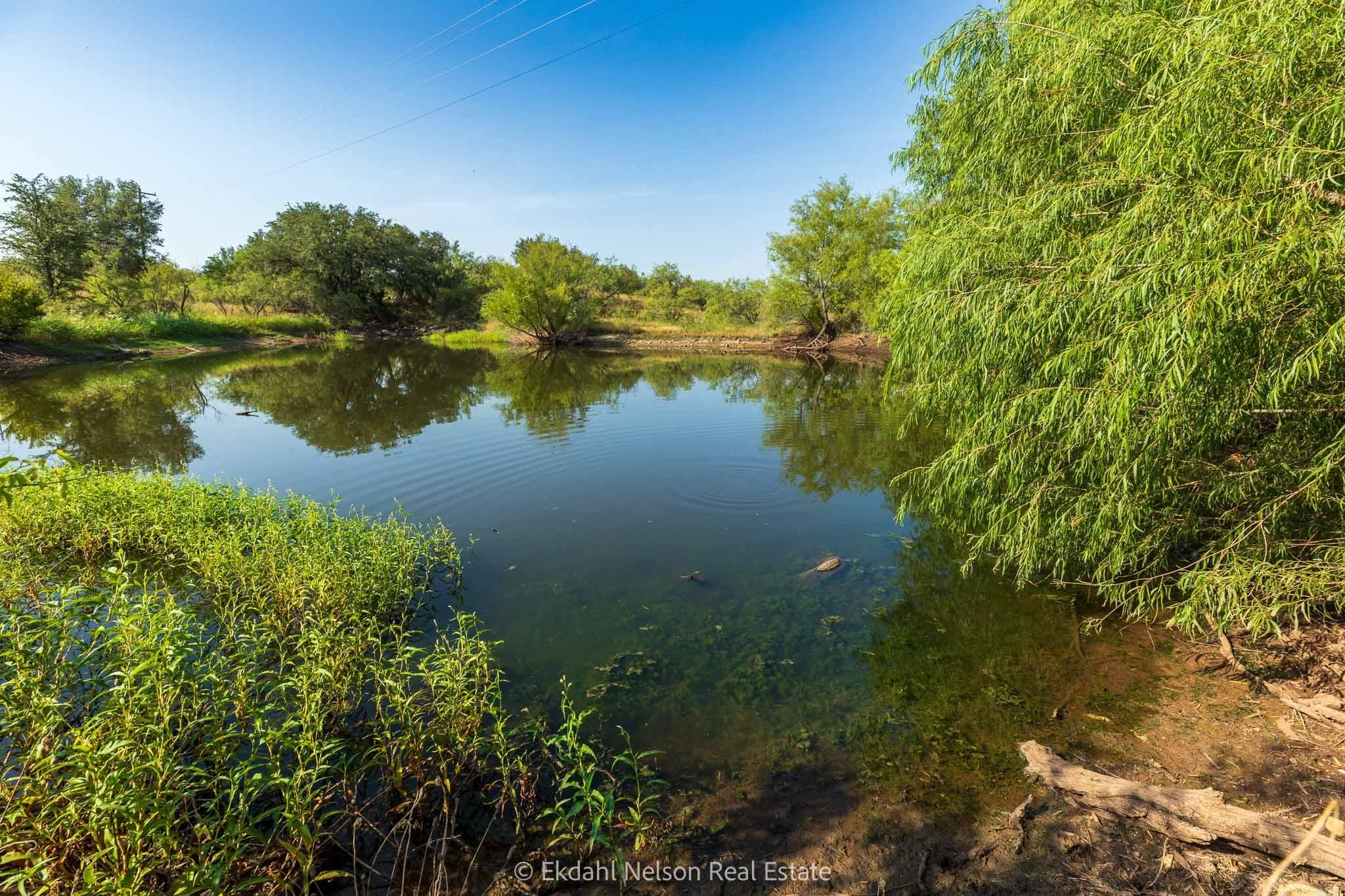 FM 576, Moran, TX 76464 | LandWatch