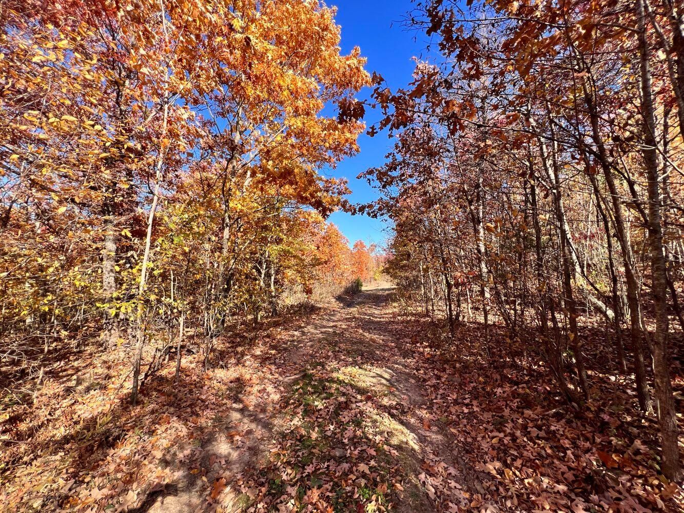 14180 Sugar Mountain Road, West Fork, AR 72774 | LandWatch