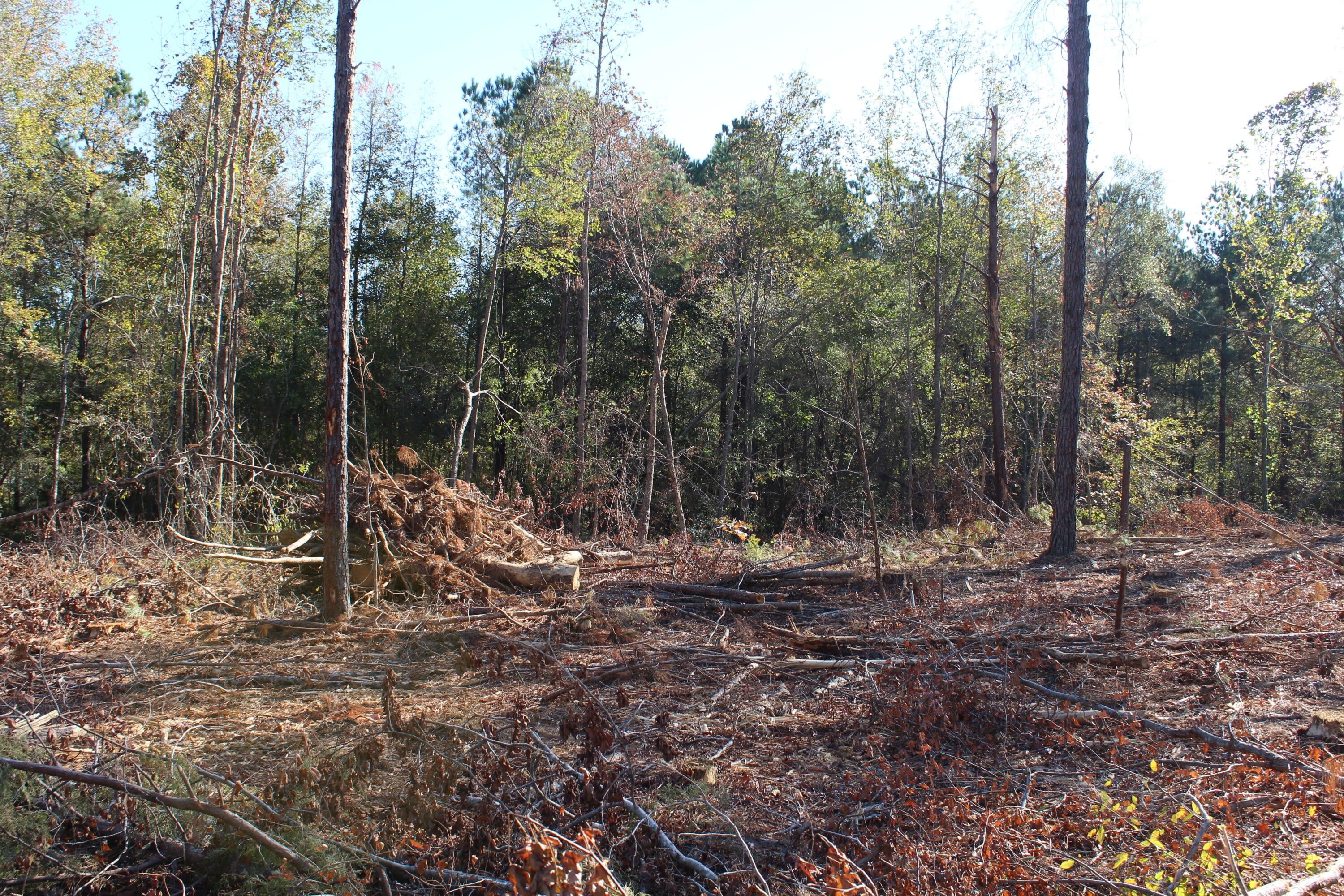 West Point, Clay County, MS Homesites for sale Property ID: 418272214 ...