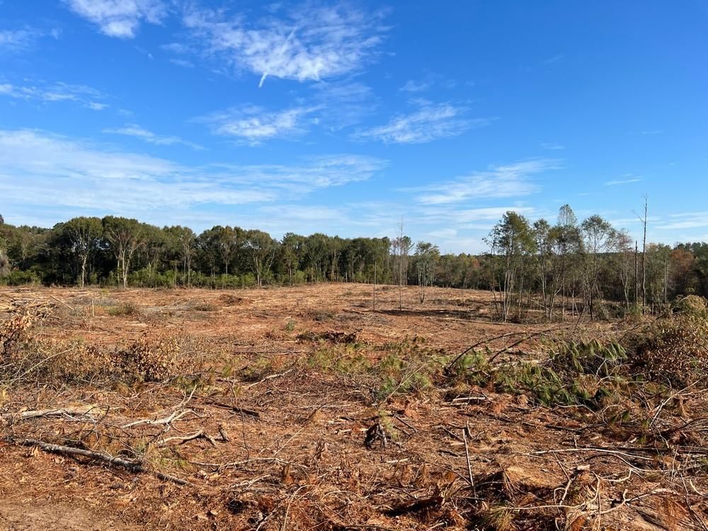 Williamson Road, Honoraville, AL 36042 | LandWatch