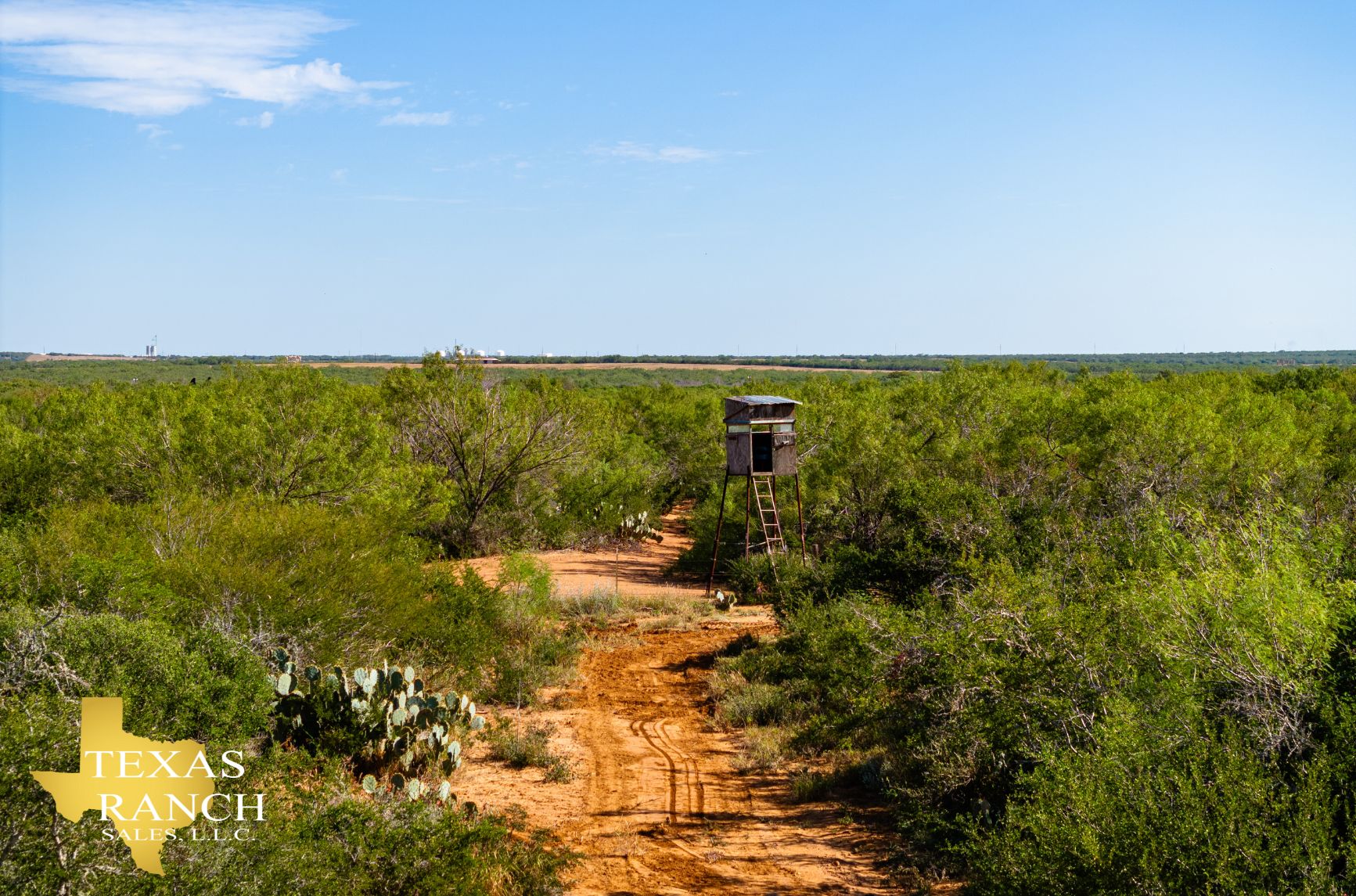 200 acres in Cotulla, TX, 78014 | LandWatch