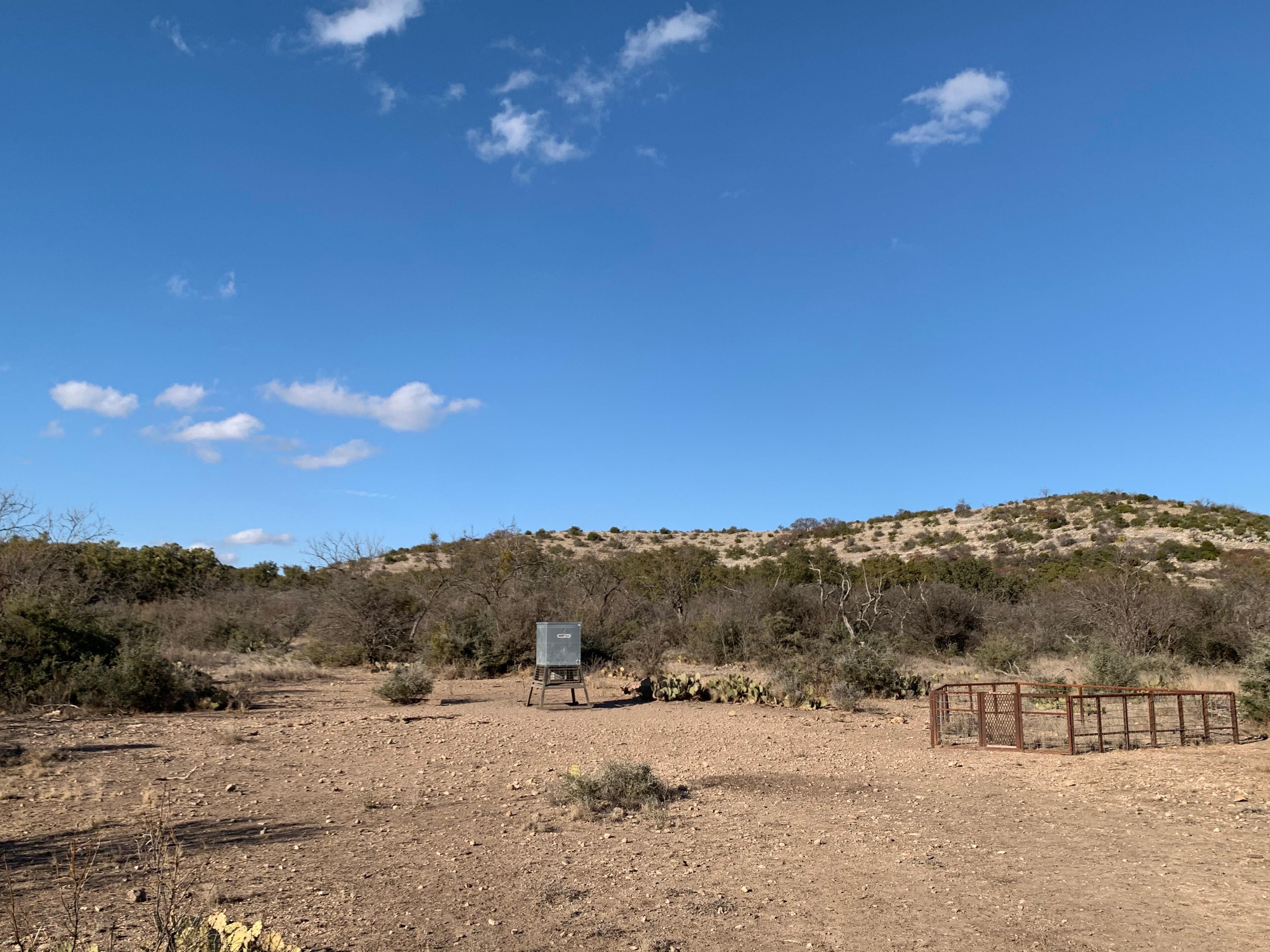 50.6 acres in Rocksprings, TX, 78880 | LandWatch