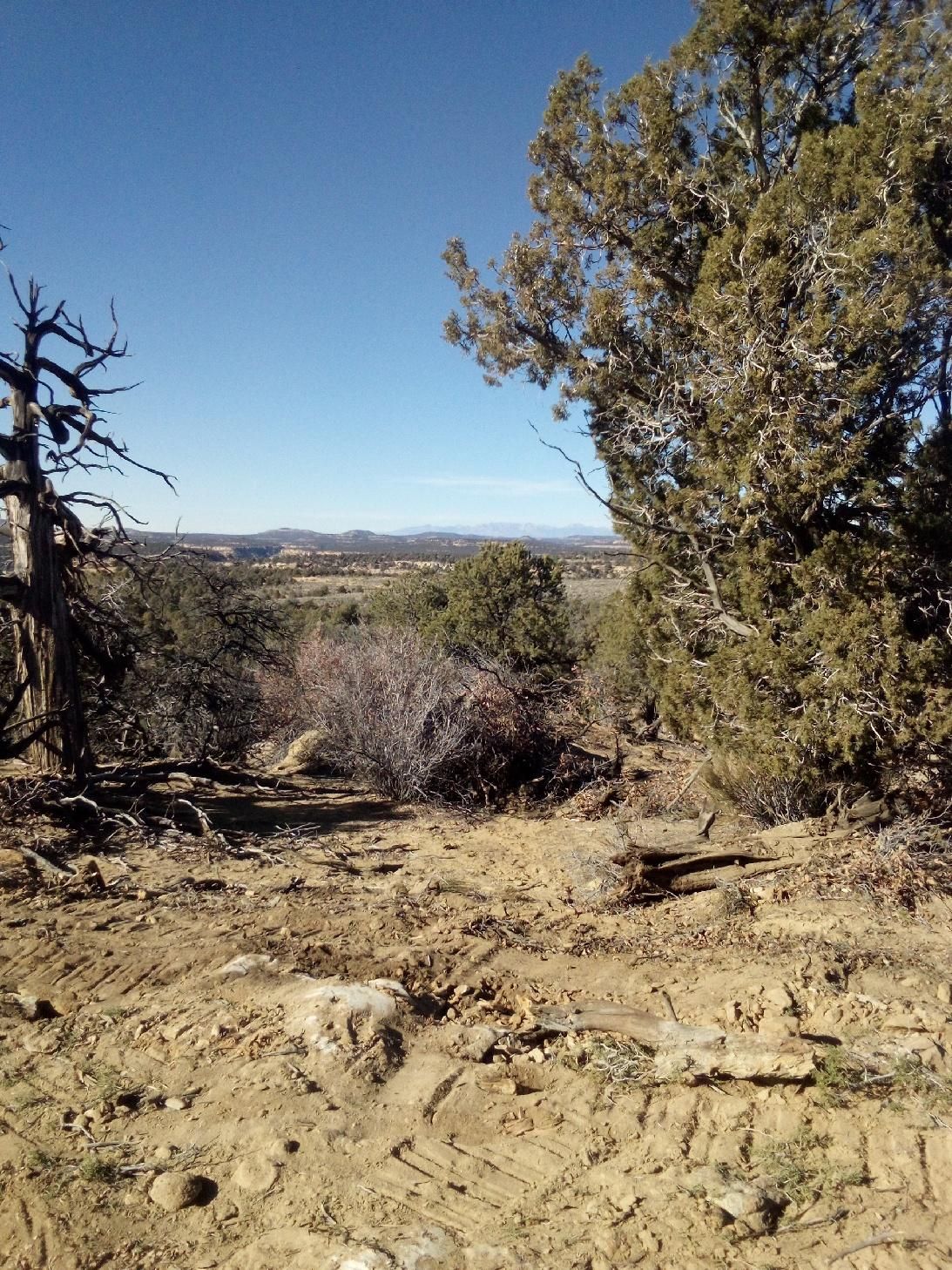 10 acres in Archuleta, NM, 87412 | LandWatch