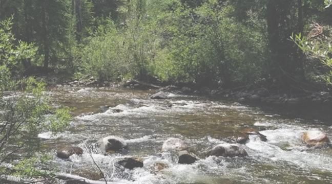 $375 per month Mining Claim Ownership, Fraser, CO 80442 | LandWatch