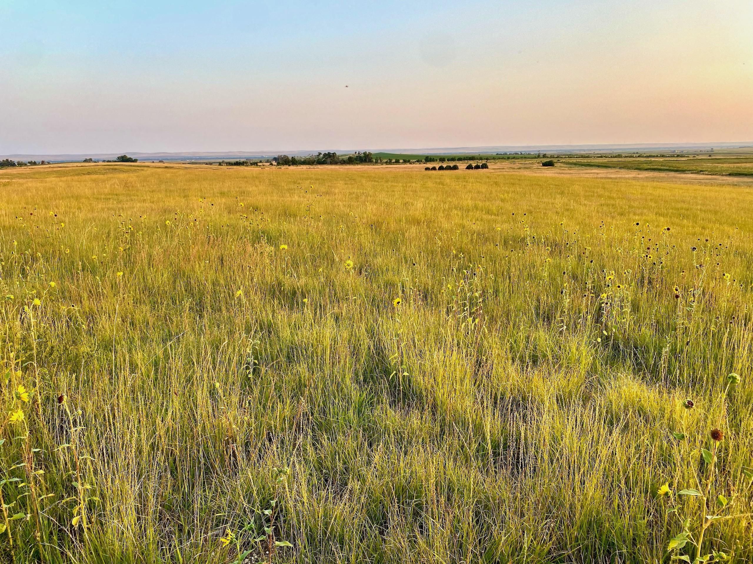 Crook, Logan County, CO Farms and Ranches, Recreational Property for ...