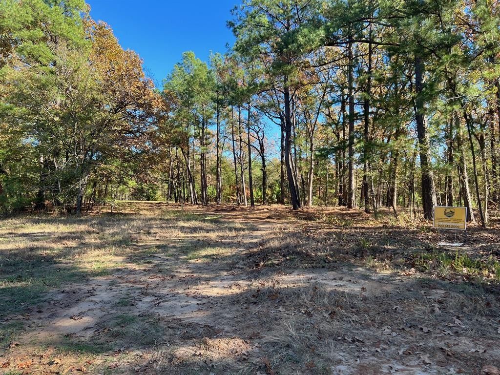 Elysian Fields, Harrison County, TX Undeveloped Land for sale Property ...