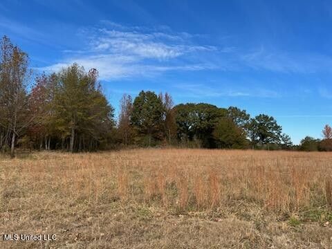 Senatobia, Tate County, MS Undeveloped Land for sale Property ID ...