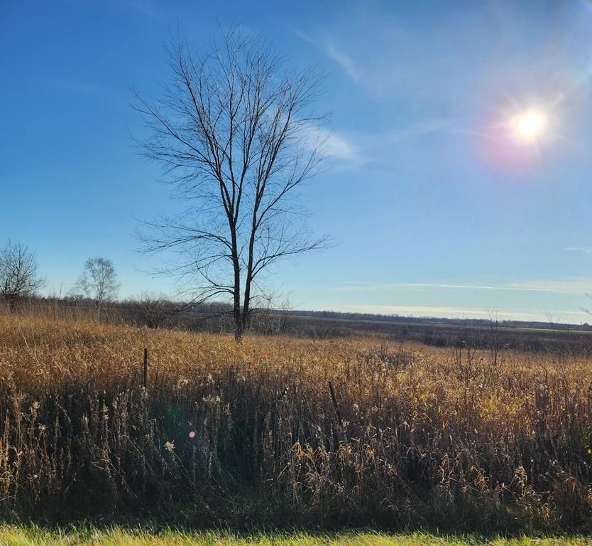 Homestead Rd, Conrath, WI 54731 | MLS: 22235334 | LandWatch