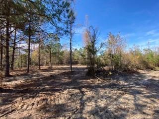 Central Plank Road, Wetumpka, AL 36092 | MLS: WETUMPKA 10 ACRES | LandWatch