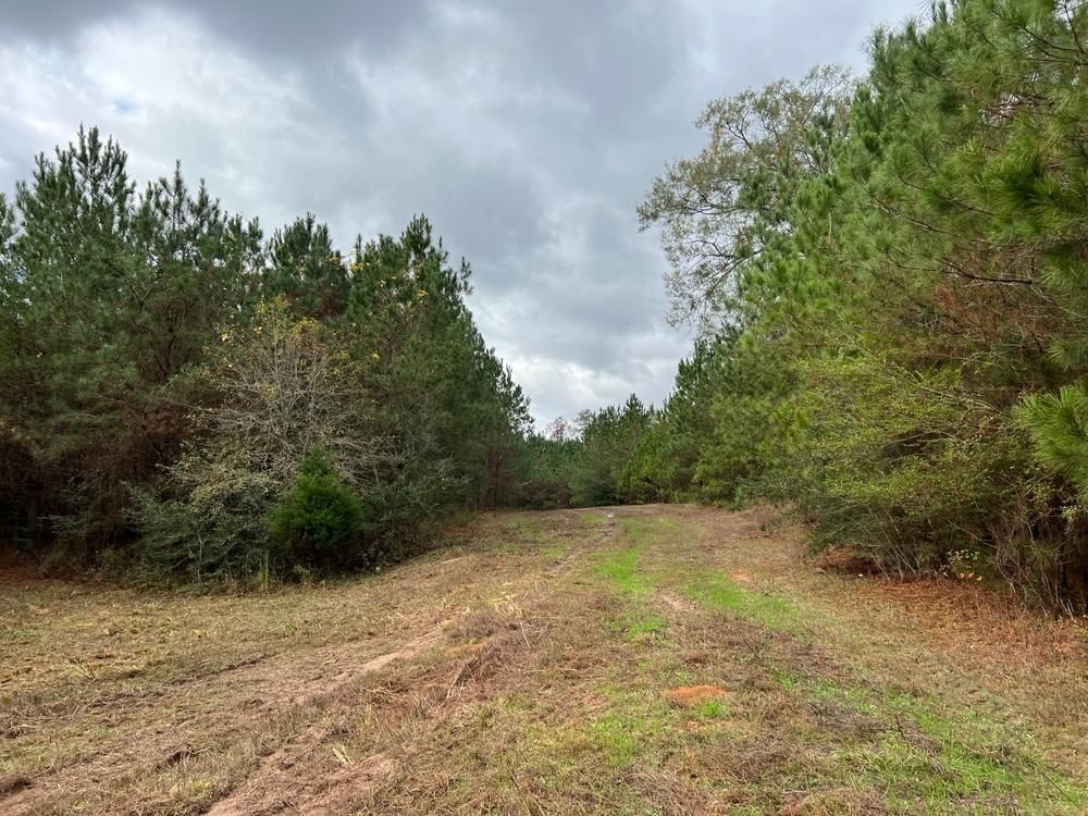 Williamson Road, Honoraville, AL 36042 | LandWatch
