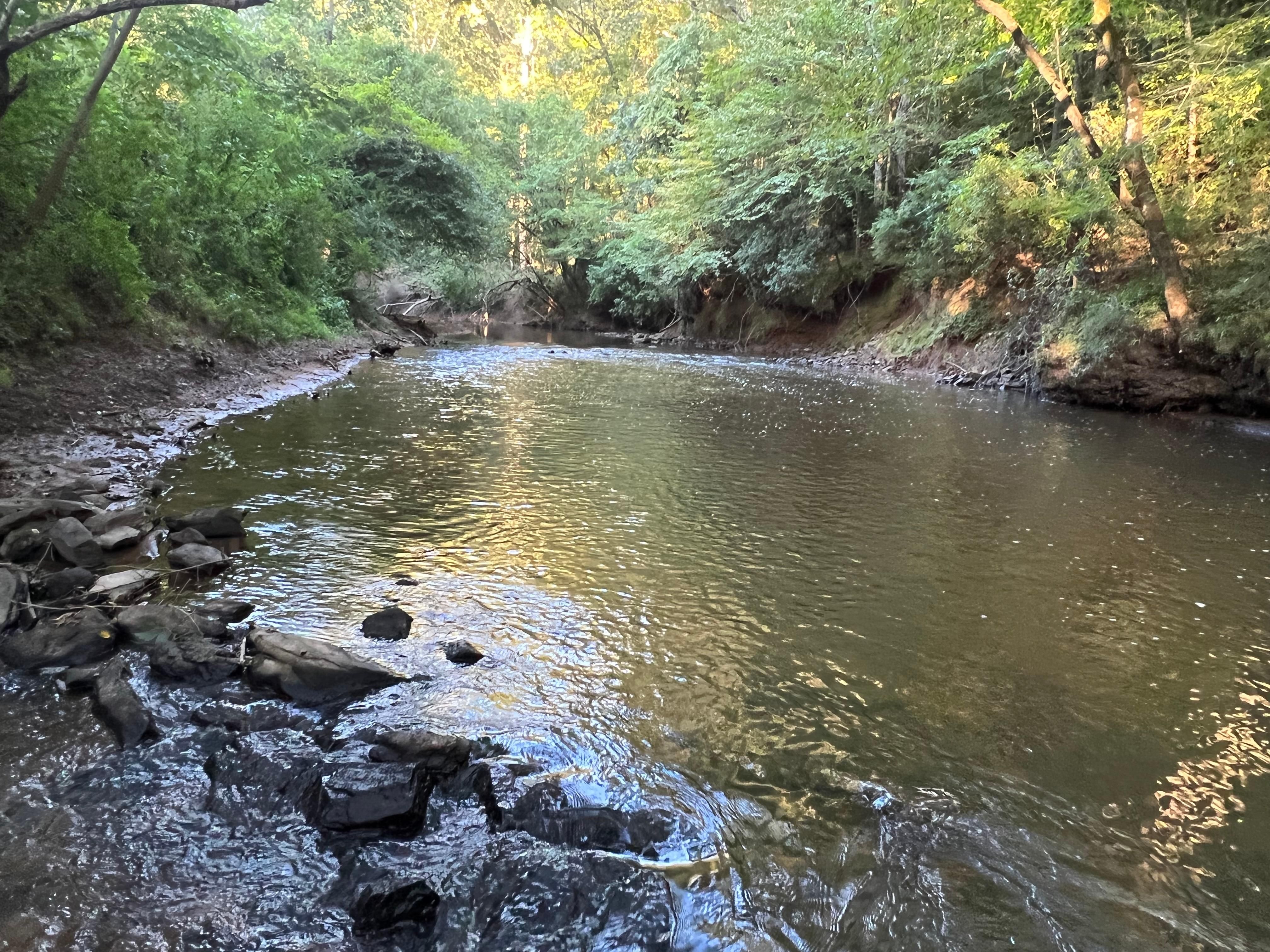 189 acres in Bluff Springs, AL, 36255 | LandWatch