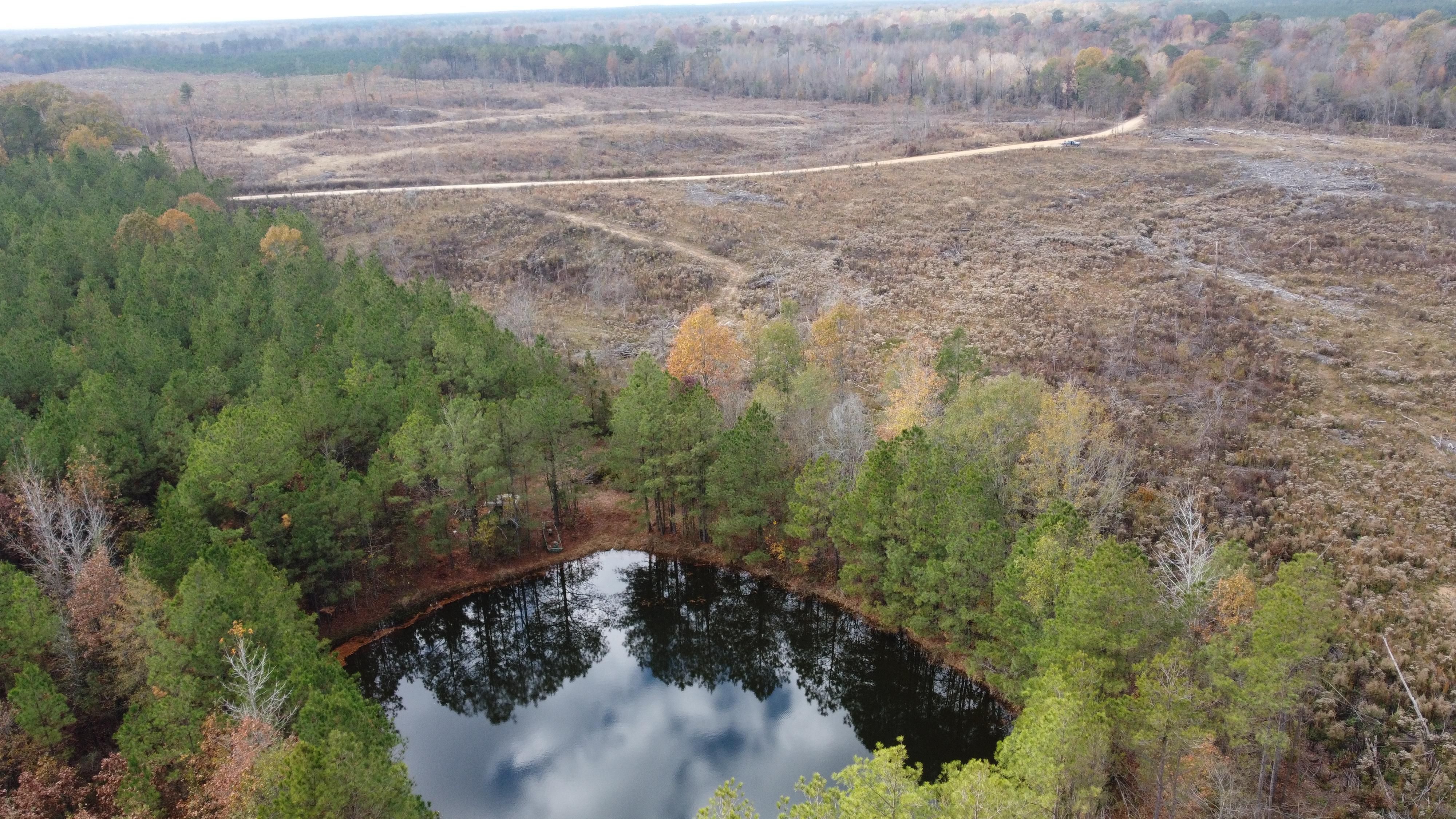 170 acres in Montrose, AR, 71658 | LandWatch