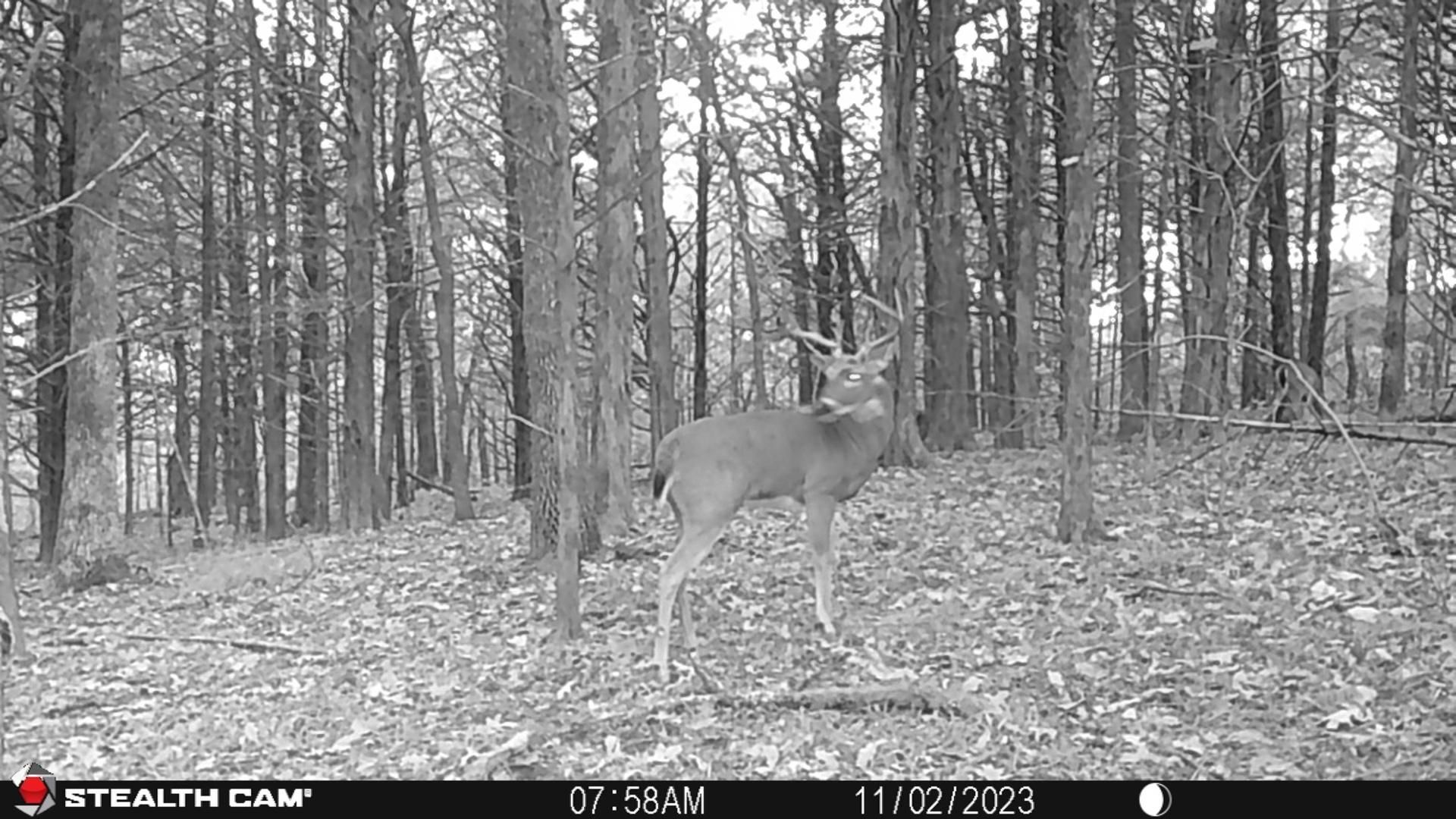 Bokoshe, Le Flore County, OK Recreational Property, Hunting Property ...