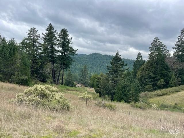 Piercy, Mendocino County, CA House for sale Property ID: 418413006 ...