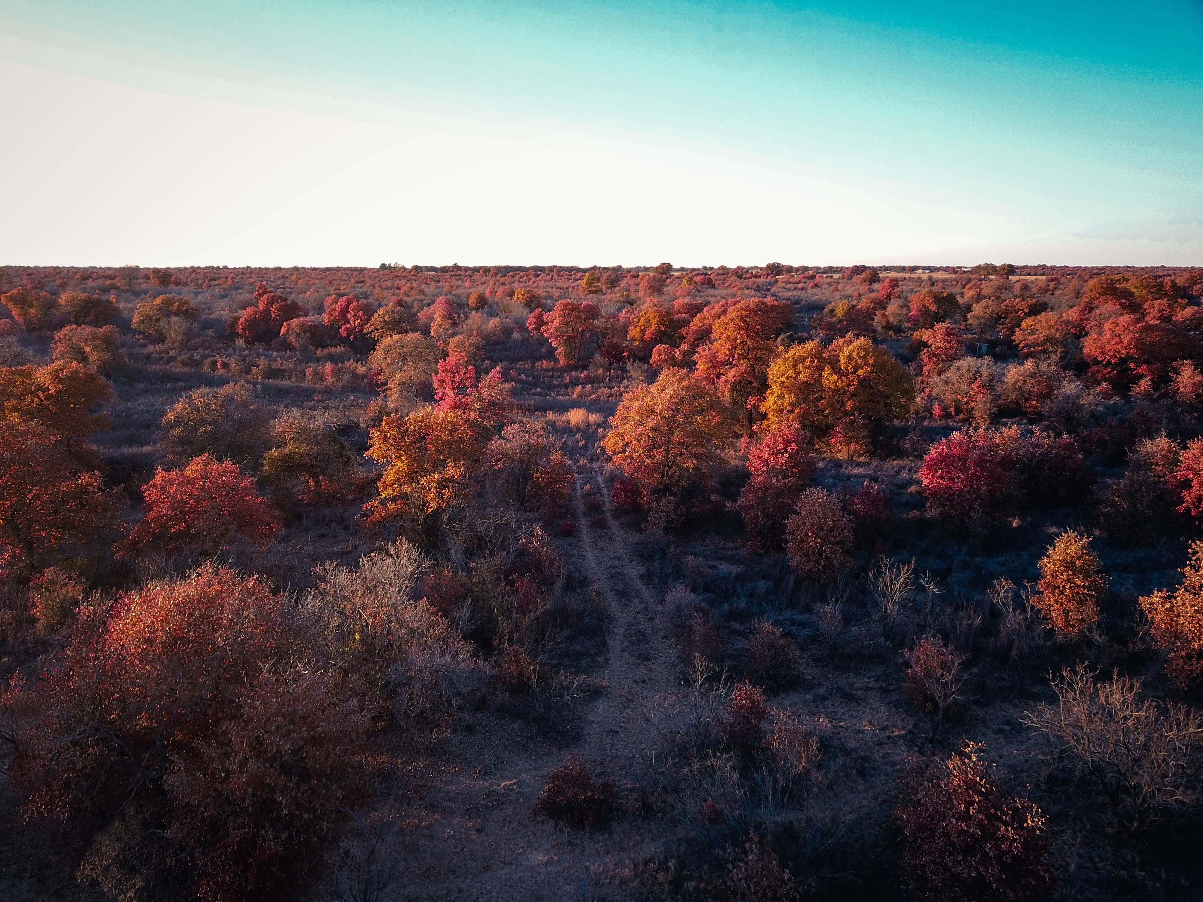 County Road 345, Hawley, TX 79525 | LandWatch