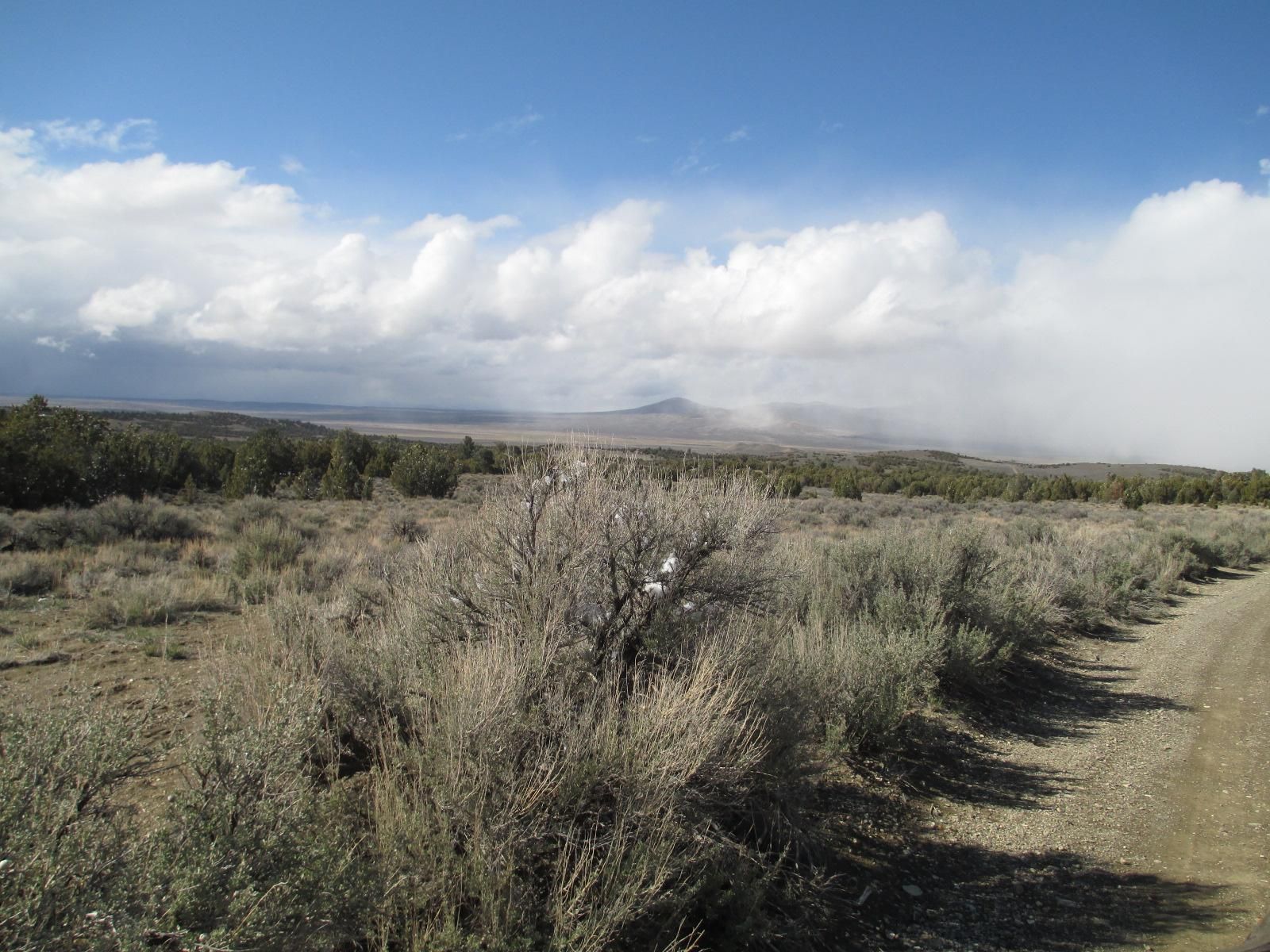 277 acres in Wells, NV, 89835 | LandWatch
