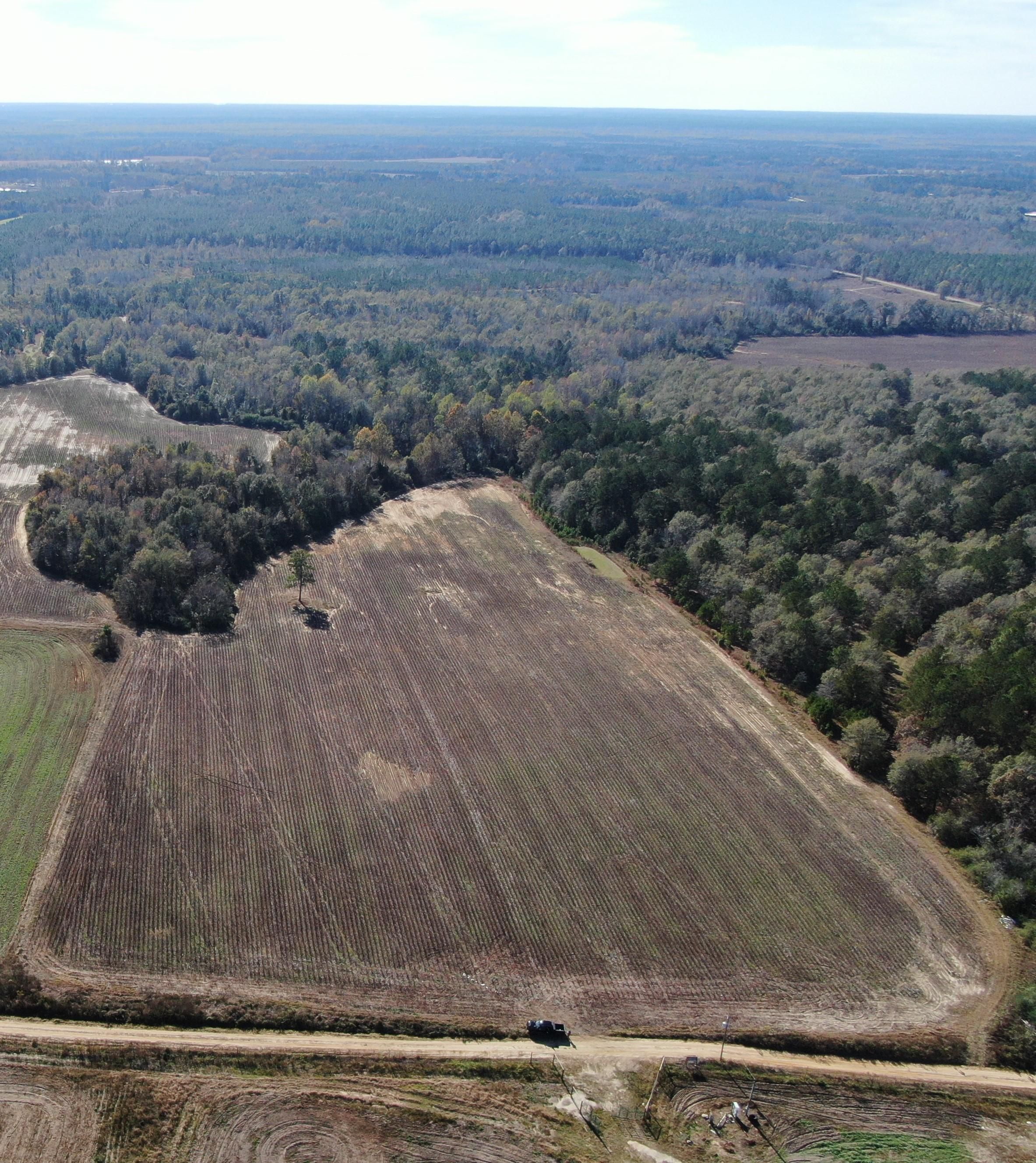 Plant Fuller Road, Milan, GA 31060 | LandWatch