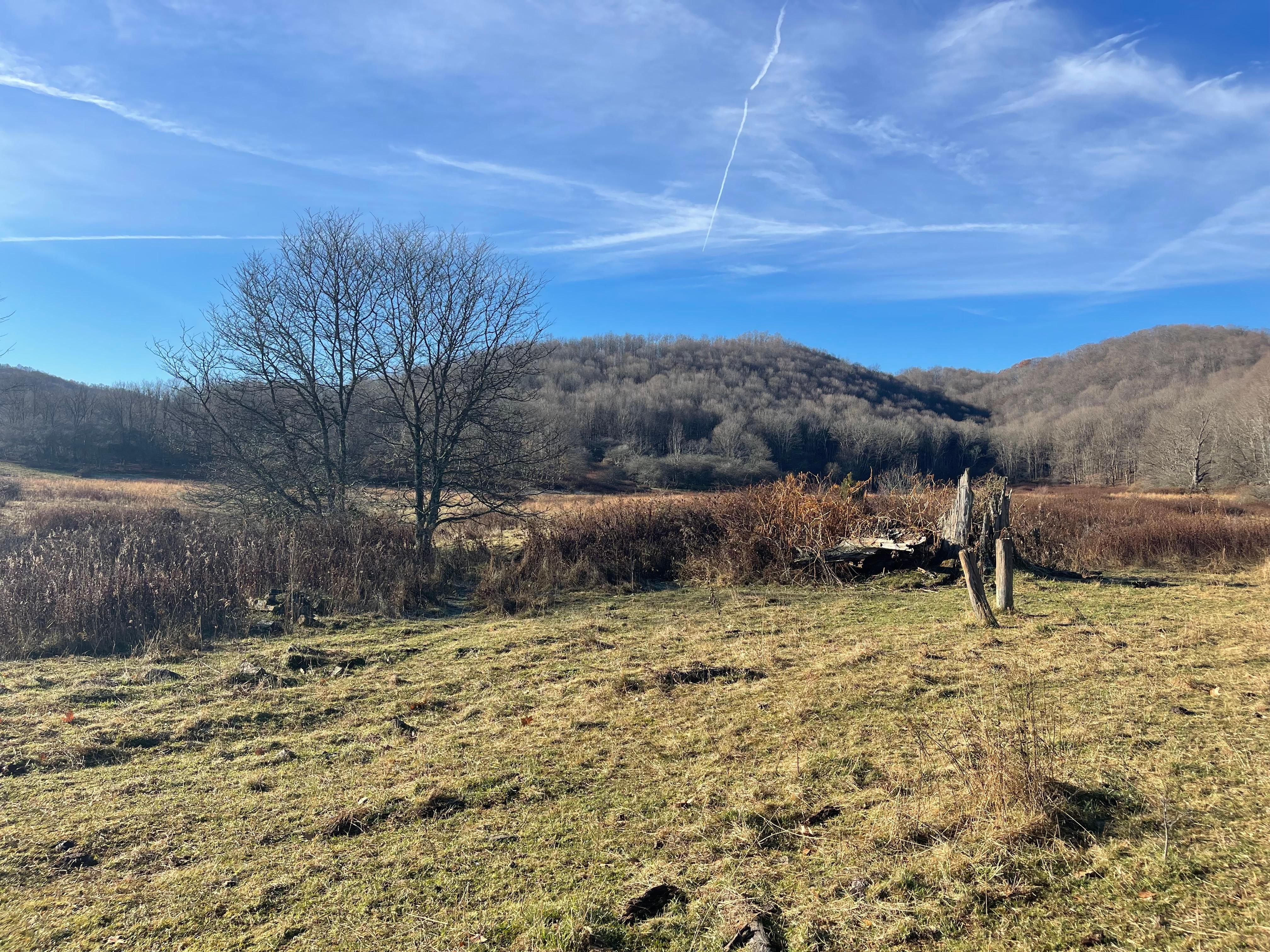 County Route 62, Valley Head, WV 26294 | LandWatch