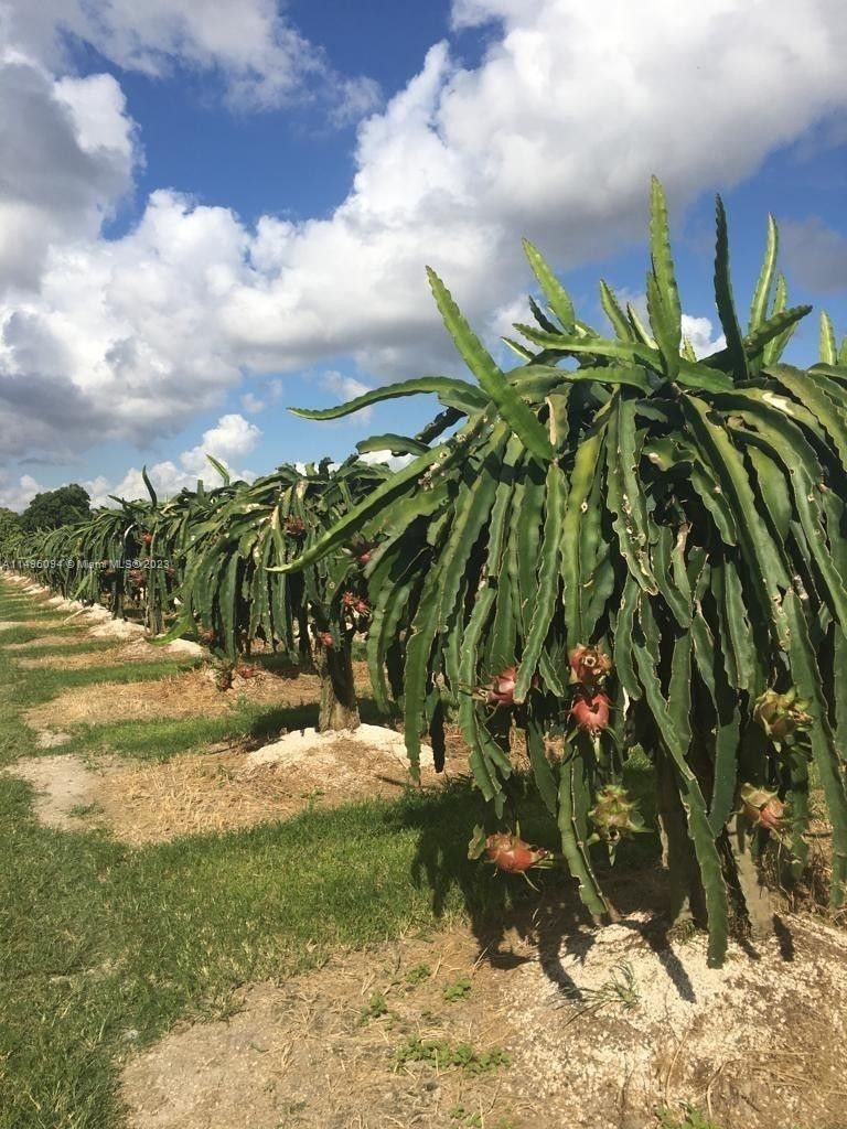 Miami, Miami-Dade County, FL Undeveloped Land for sale Property ID ...