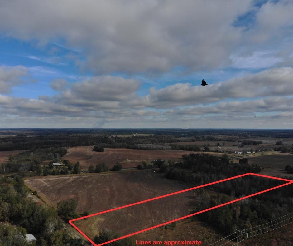 Fish Pynes Rd, Pansey, AL 36370 | LandWatch