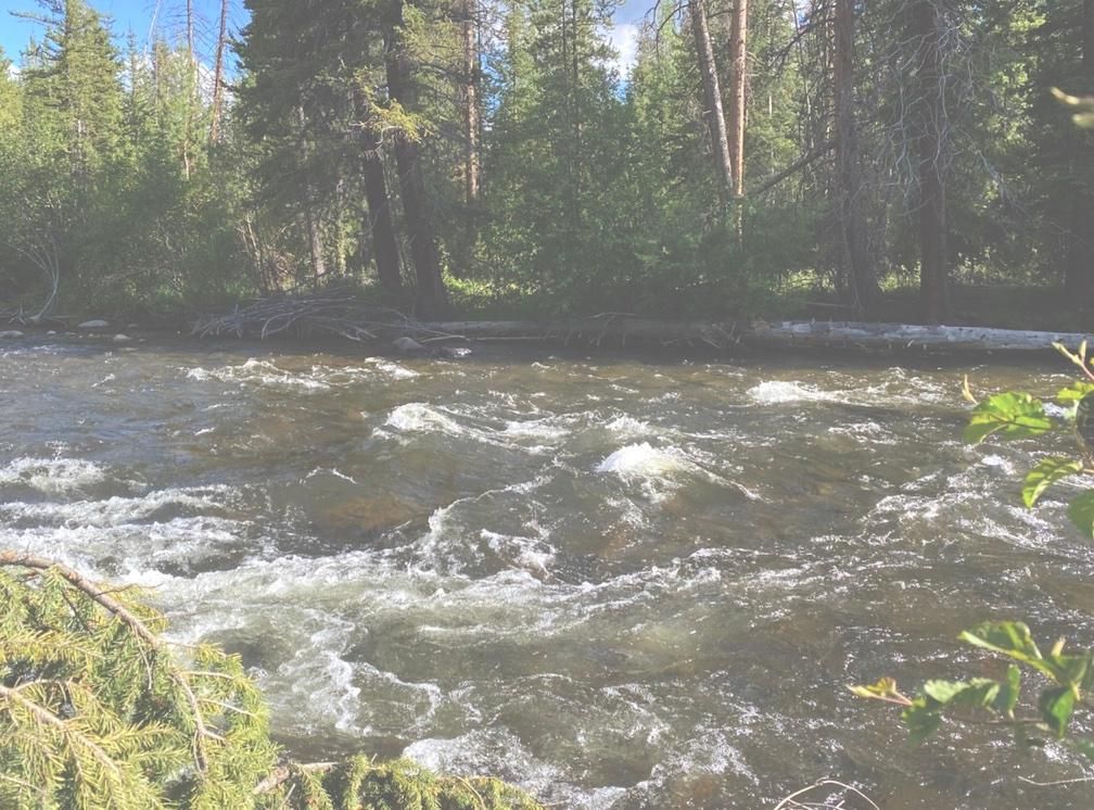 $375 per month Mining Claim Ownership, Fraser, CO 80442 | LandWatch