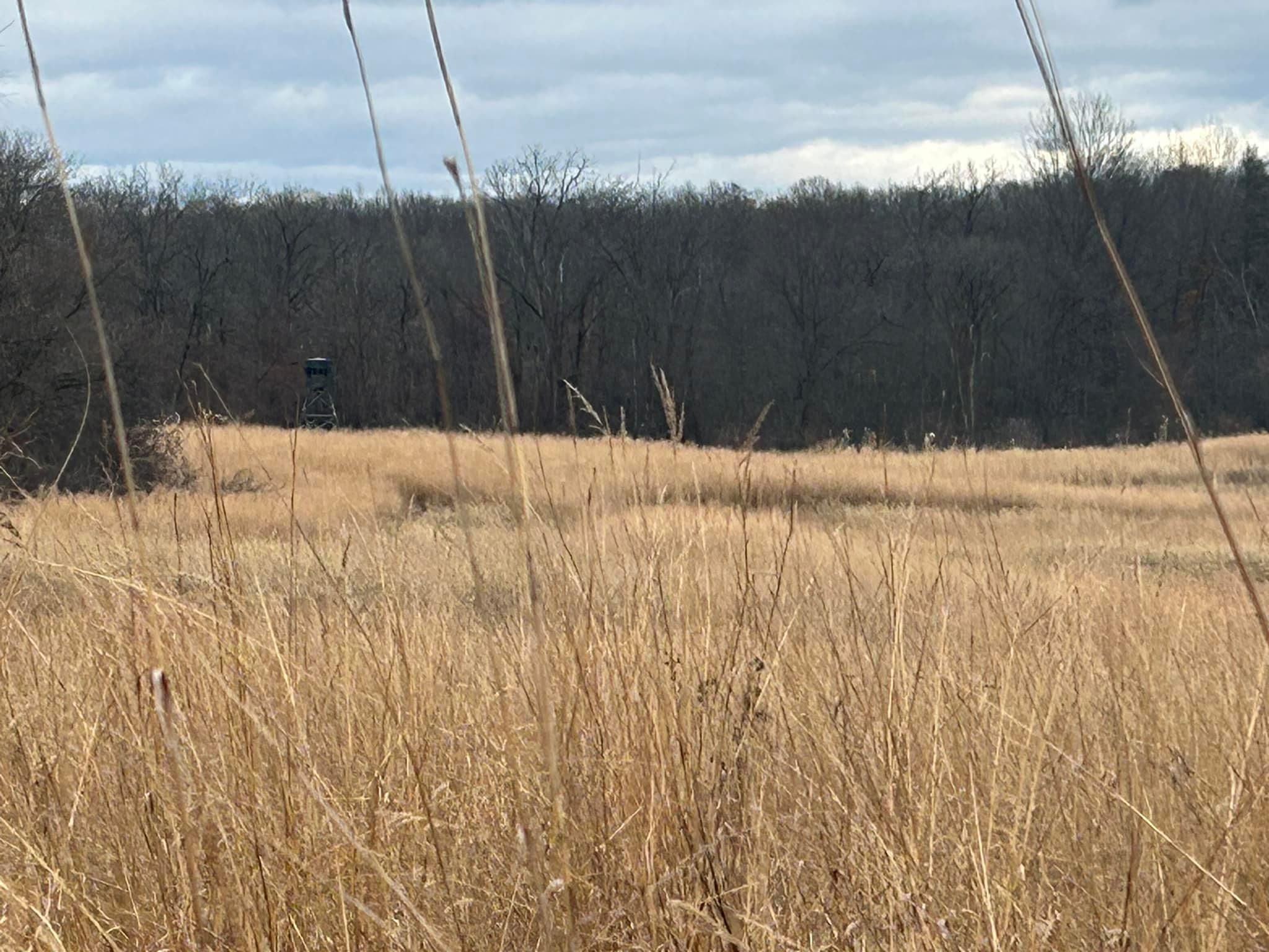 Half Moon Lake Rd, Hillsdale, MI 49242 | MLS: 23144115 | LandWatch