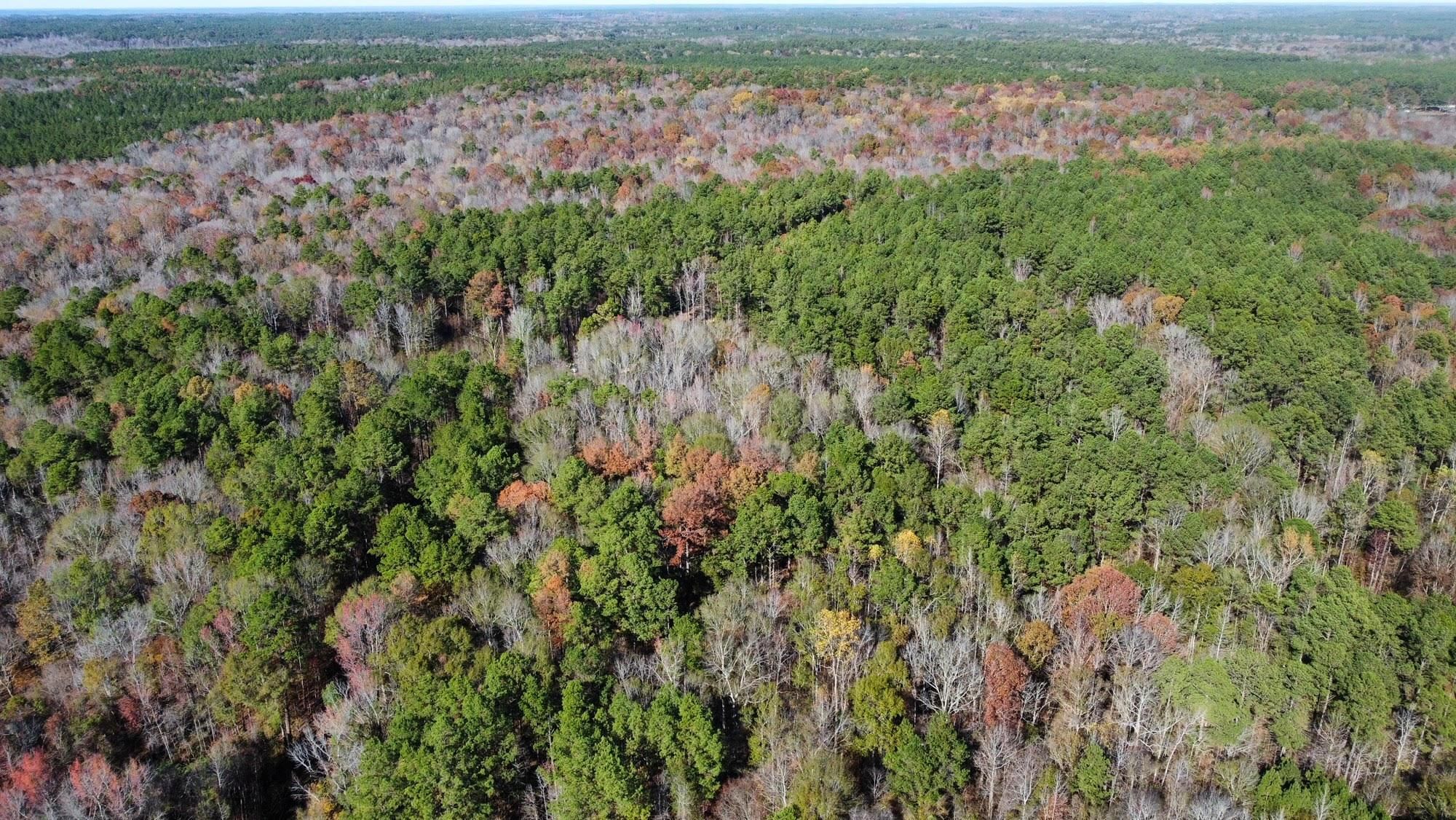 28 Acres, Lincoln County, MS, Brookhaven, MS 39083 | LandWatch