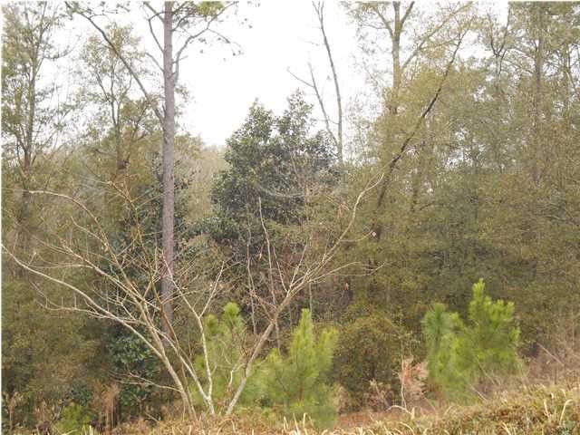 Semmes, Mobile County, AL Homesites for sale Property ID: 418488468 ...