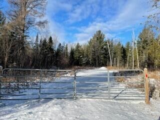 Engadine, Mackinac County, MI Undeveloped Land for sale Property ID ...