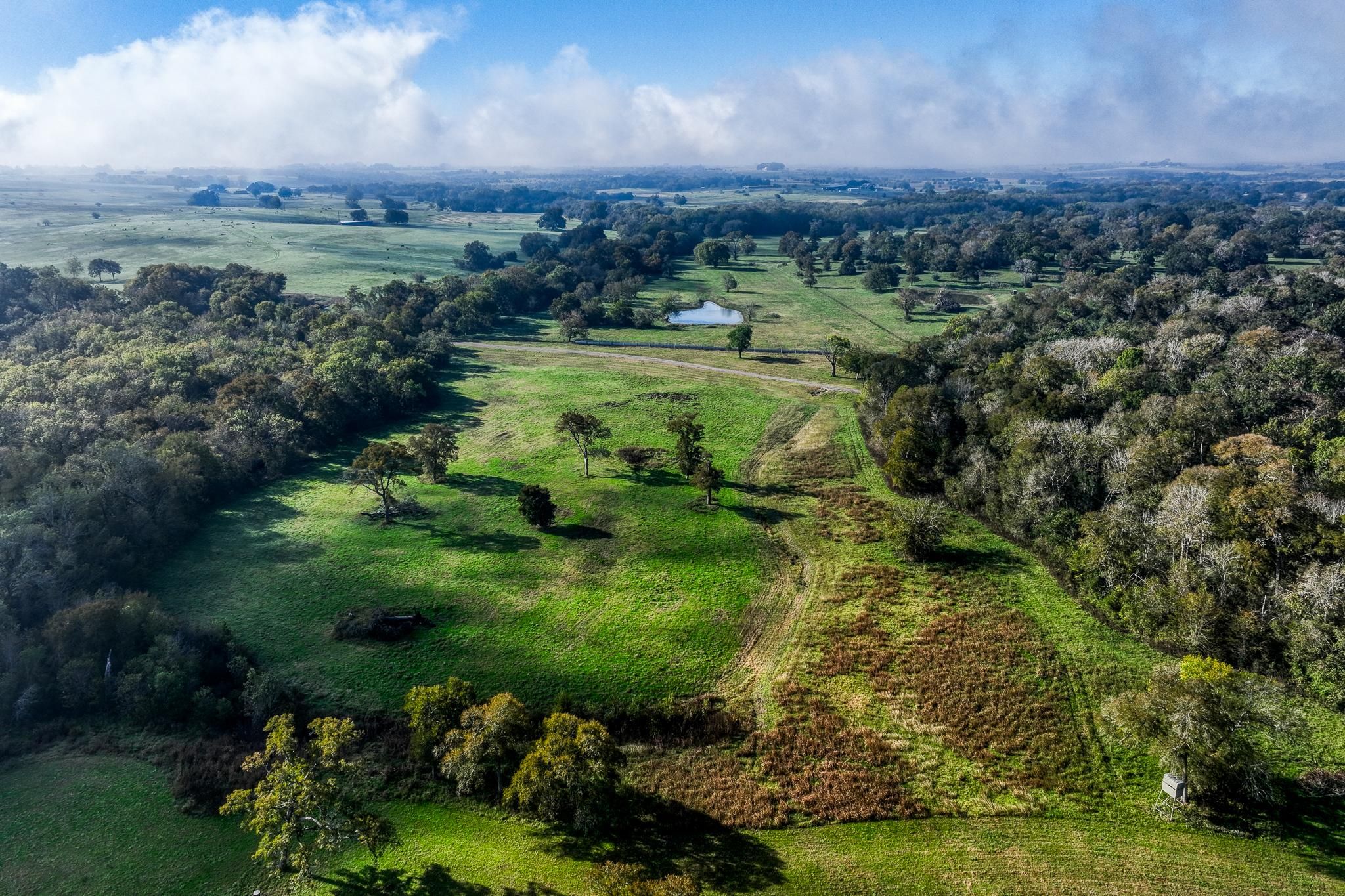 8751 FM 1371, Chappell Hill, TX 77426 | LandWatch