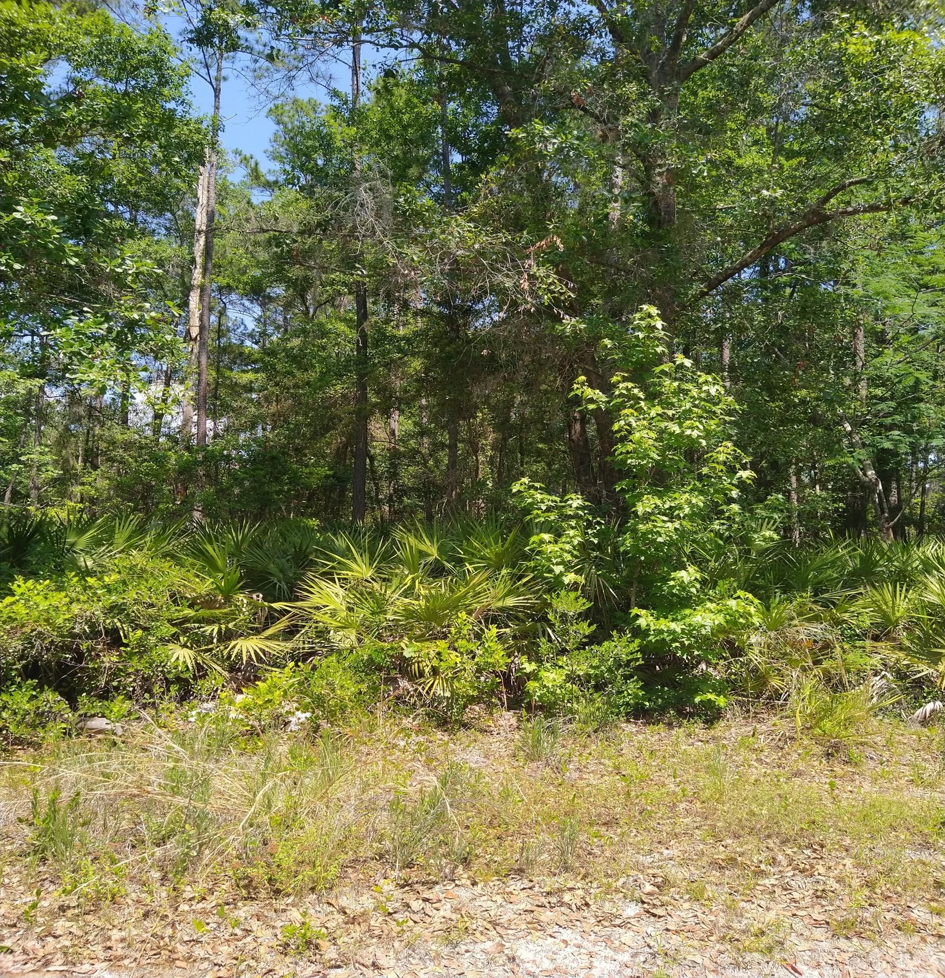 175 Possum Walk Rd, Satsuma, FL 32189 | LandWatch