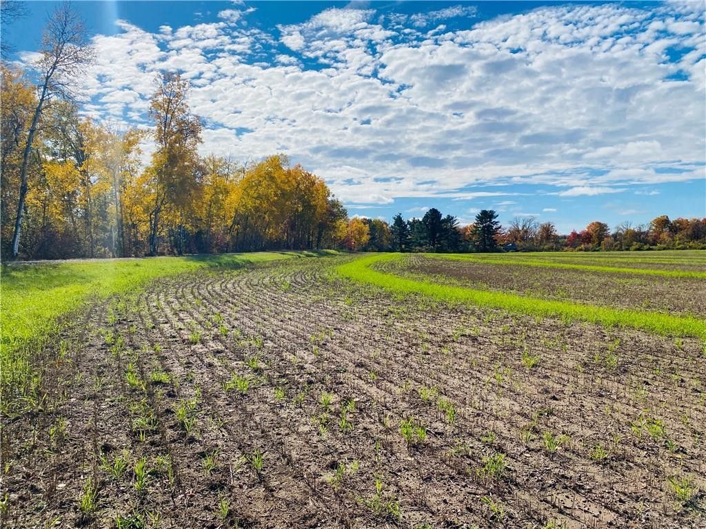 25 Acres 27 1/2 Ave, Rice Lake, WI 54868 | MLS: 1578730 | LandWatch