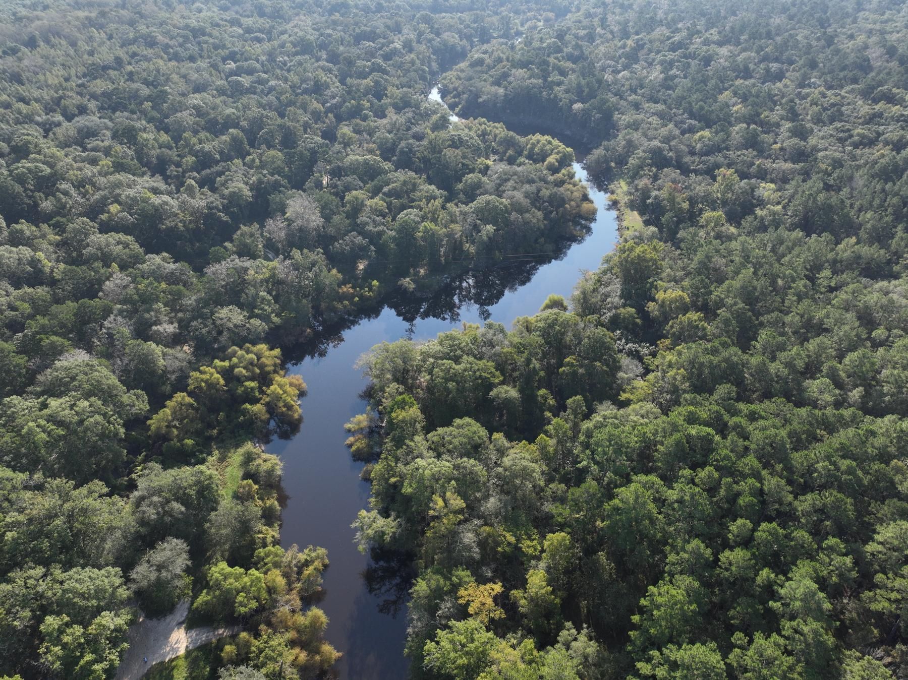 River Cliff Road, Reidsville, GA 30453 | MLS: 10213460 | LandWatch