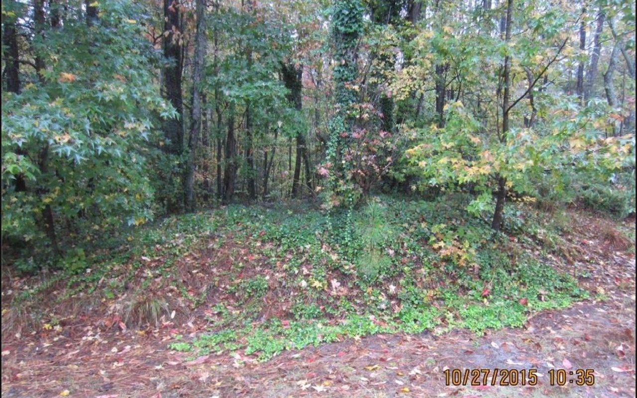 Villa Rica, Carroll County, GA Homesites for sale Property ID ...