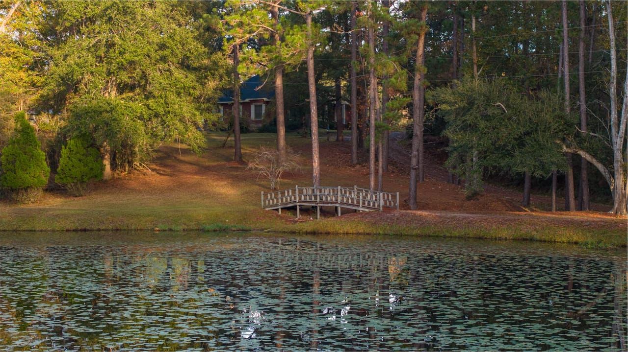 194 Granade Ave, Chatom, AL 36518 | LandWatch