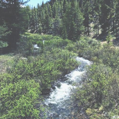 $375 per month Mining Claim Ownership, Fraser, CO 80442 | LandWatch