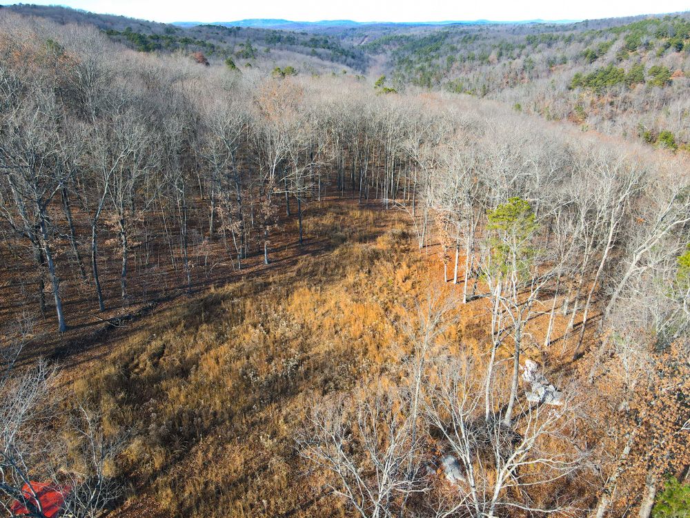 000 County Road 139, Eureka Springs, AR 72632 | MLS: Carroll 67 | LandWatch