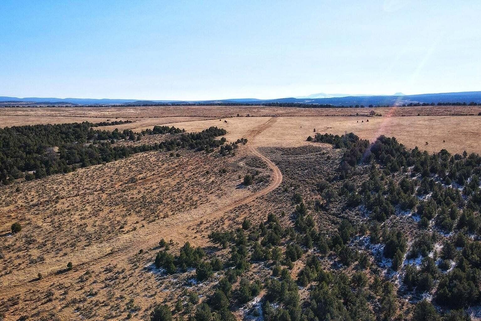 Tierra Amarilla, Rio Arriba County, NM for sale Property ID: 418432813 ...