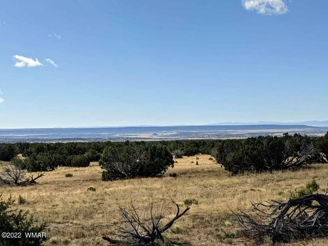 Lot 554 Woodland Valley Ranch, Saint Johns, AZ 85936 | MLS: 241596 ...