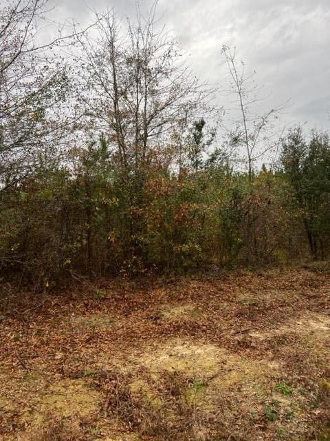 Rembert, Sumter County, SC Undeveloped Land for sale Property ID ...