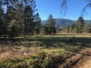 Rogue River, Jackson County, OR Farms and Ranches for sale Property ID ...
