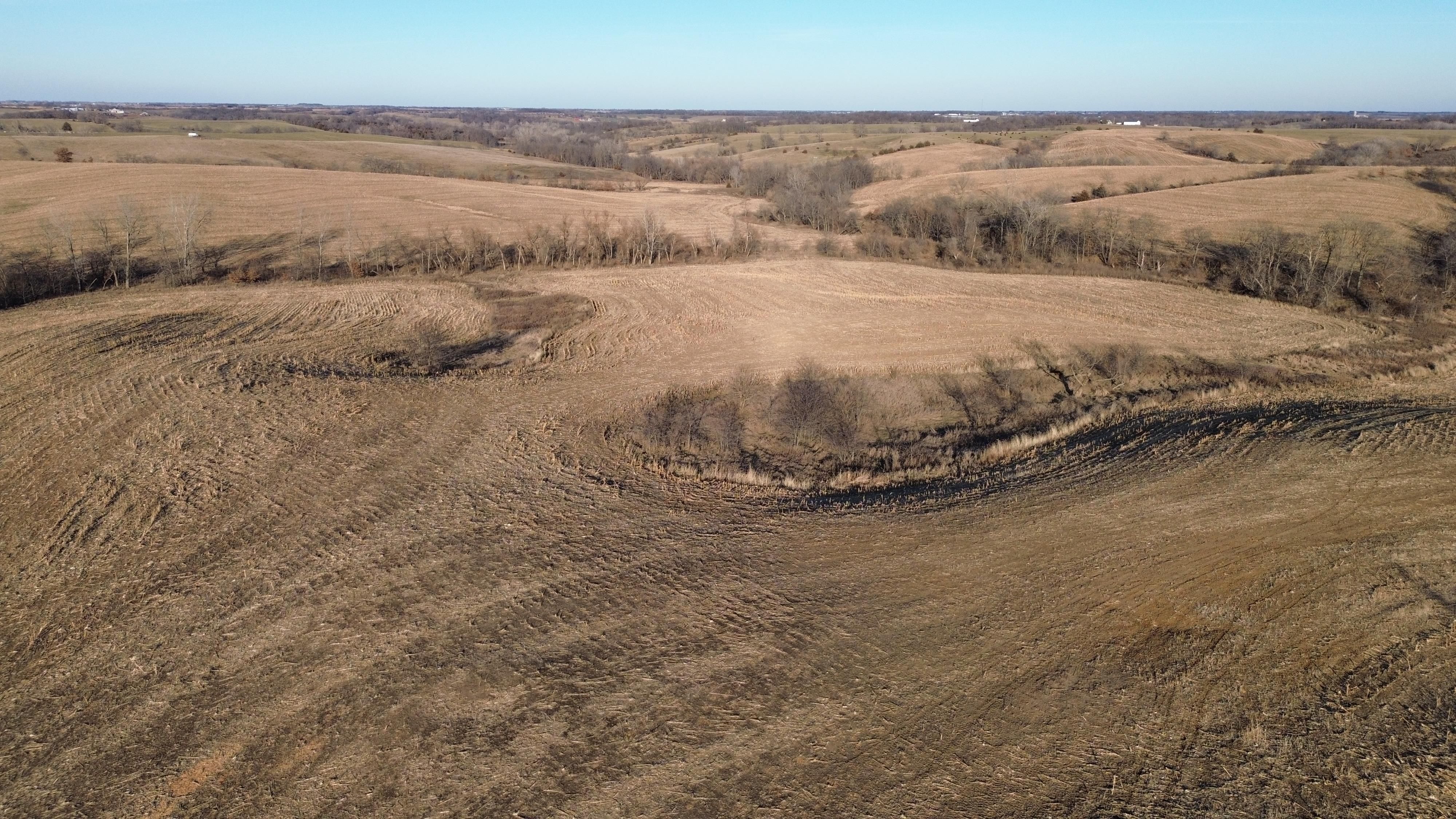 300 Acres on Dewberry Ave, Bloomfield, IA 52537 | LandWatch