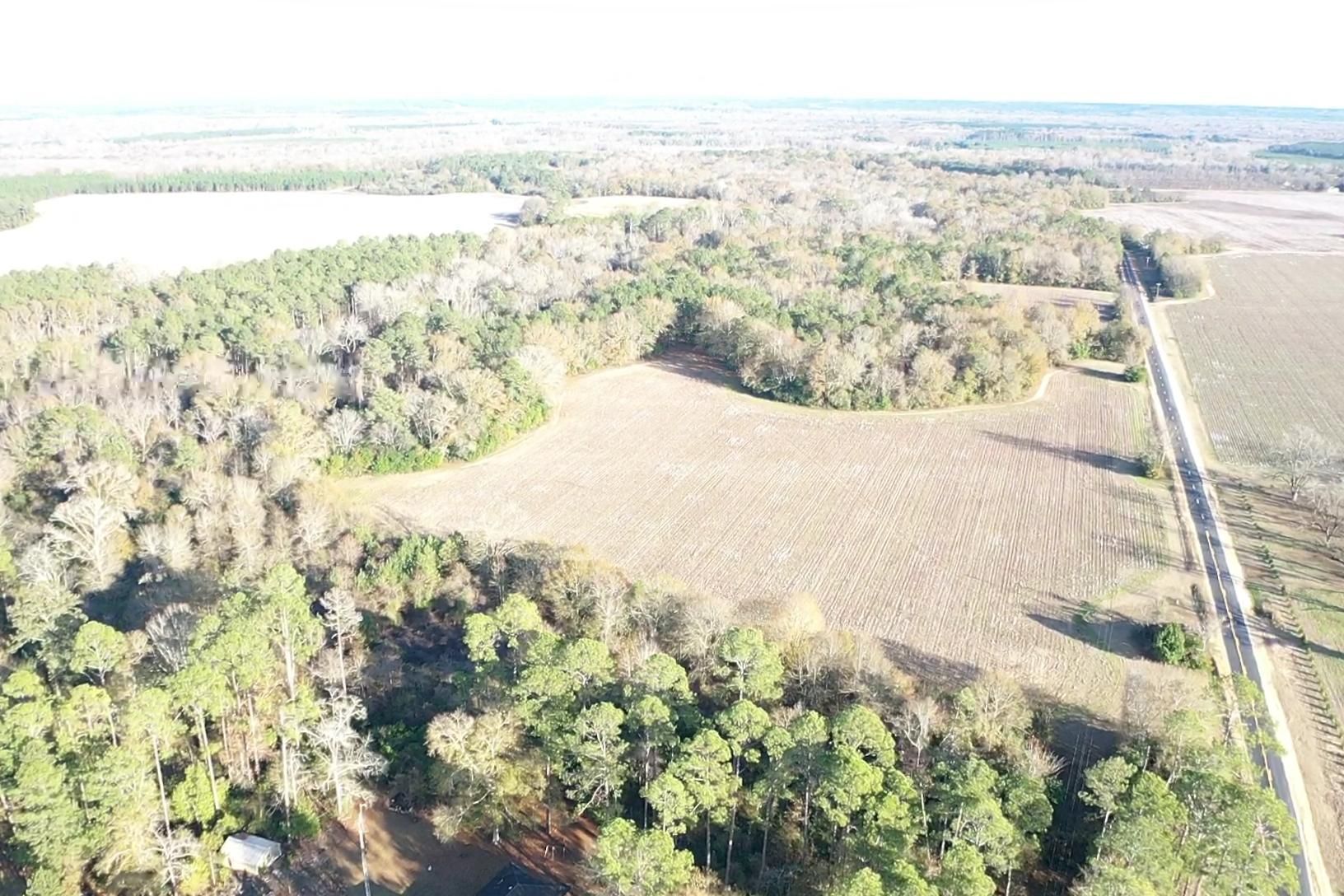 Reynolds, Taylor County, GA Farms and Ranches, Recreational Property ...