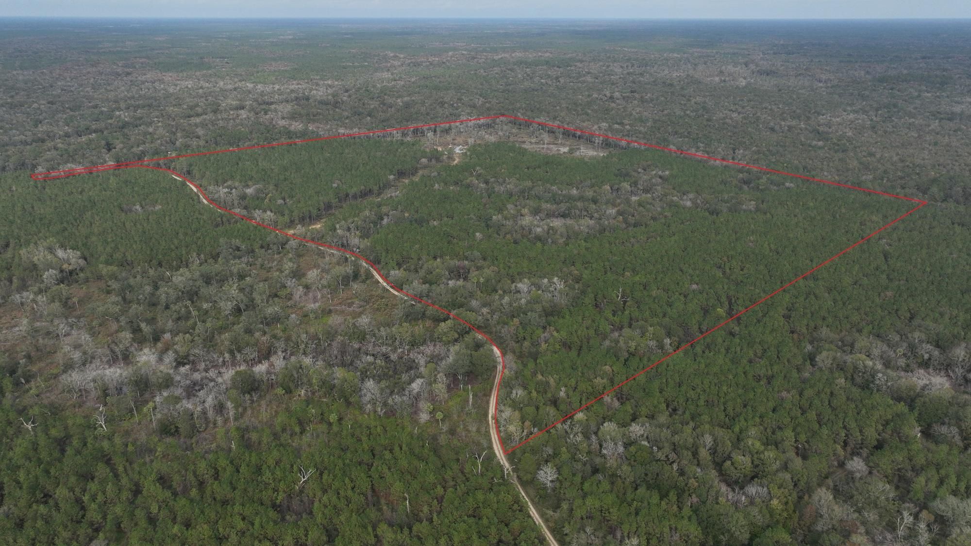 Boatright Well Road, Otter Creek, FL 32683 | LandWatch