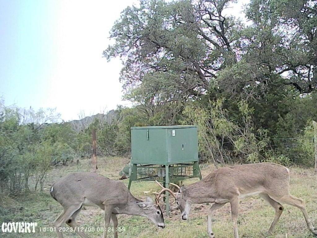 48 acres in Juno, TX, 78840 | LandWatch