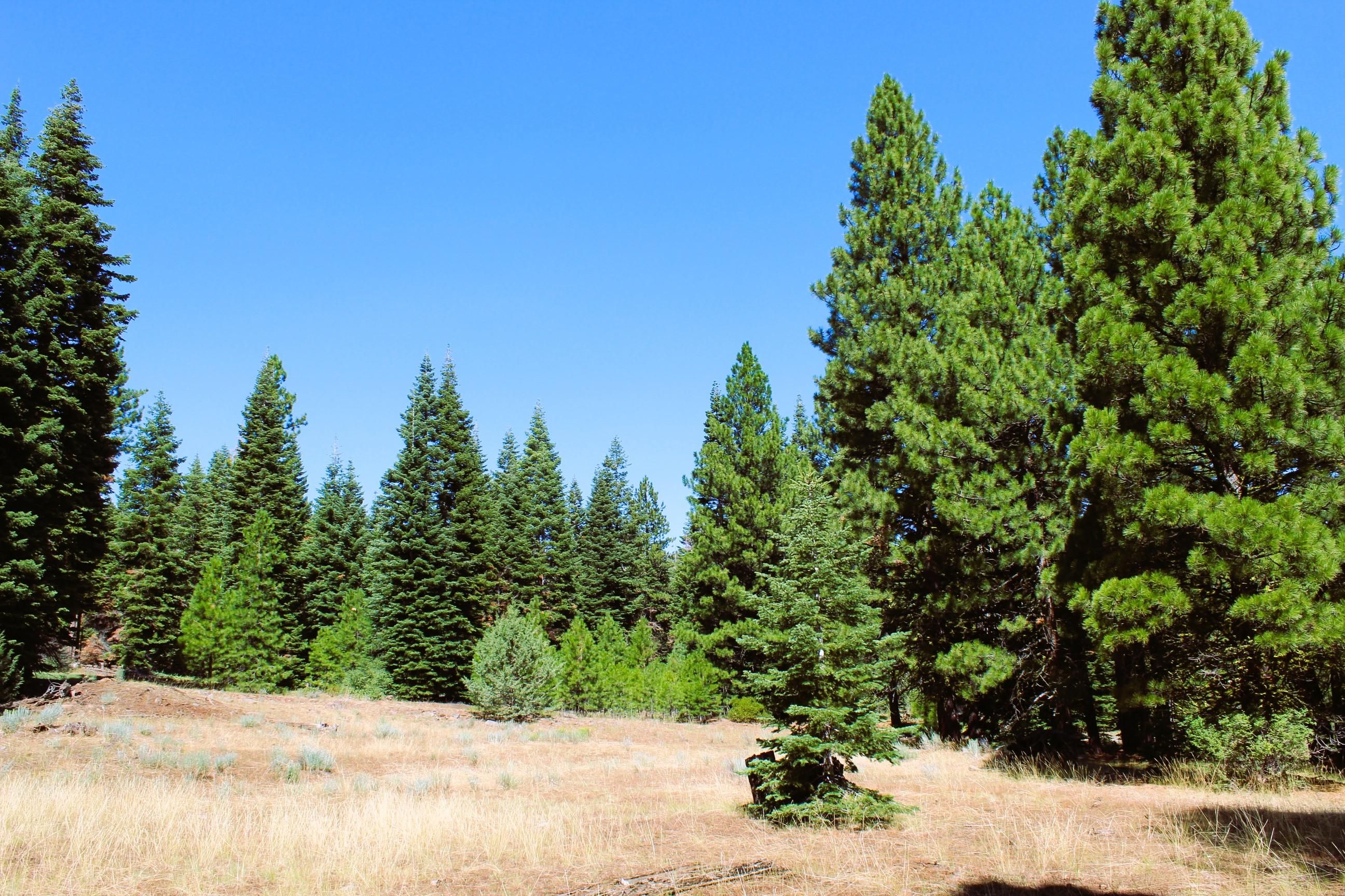 California Pines, Modoc County, CA Recreational Property, Hunting ...