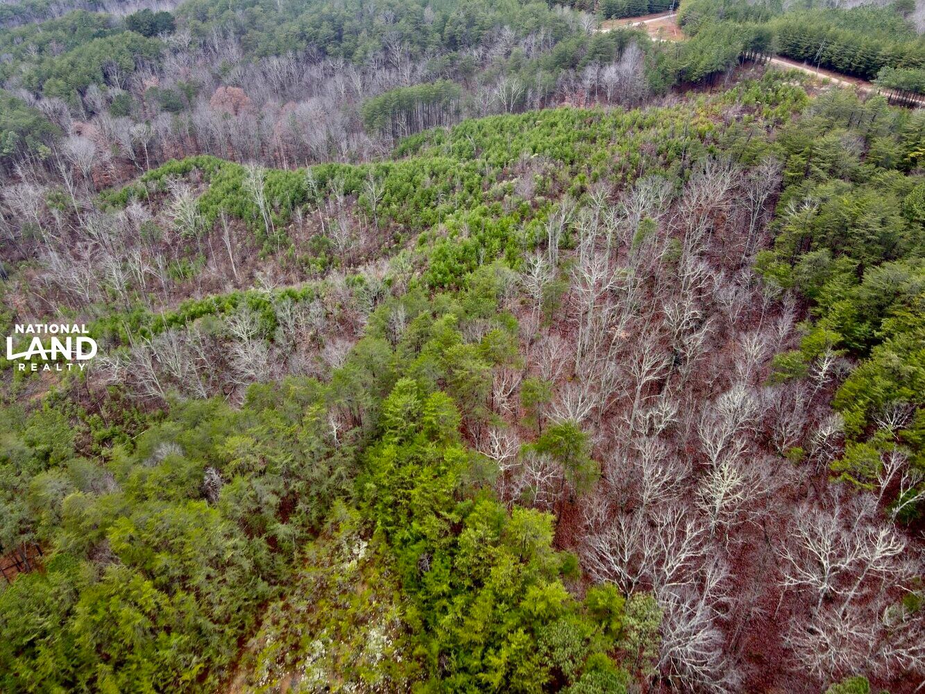 Remlap, Blount County, AL Recreational Property, Undeveloped Land ...